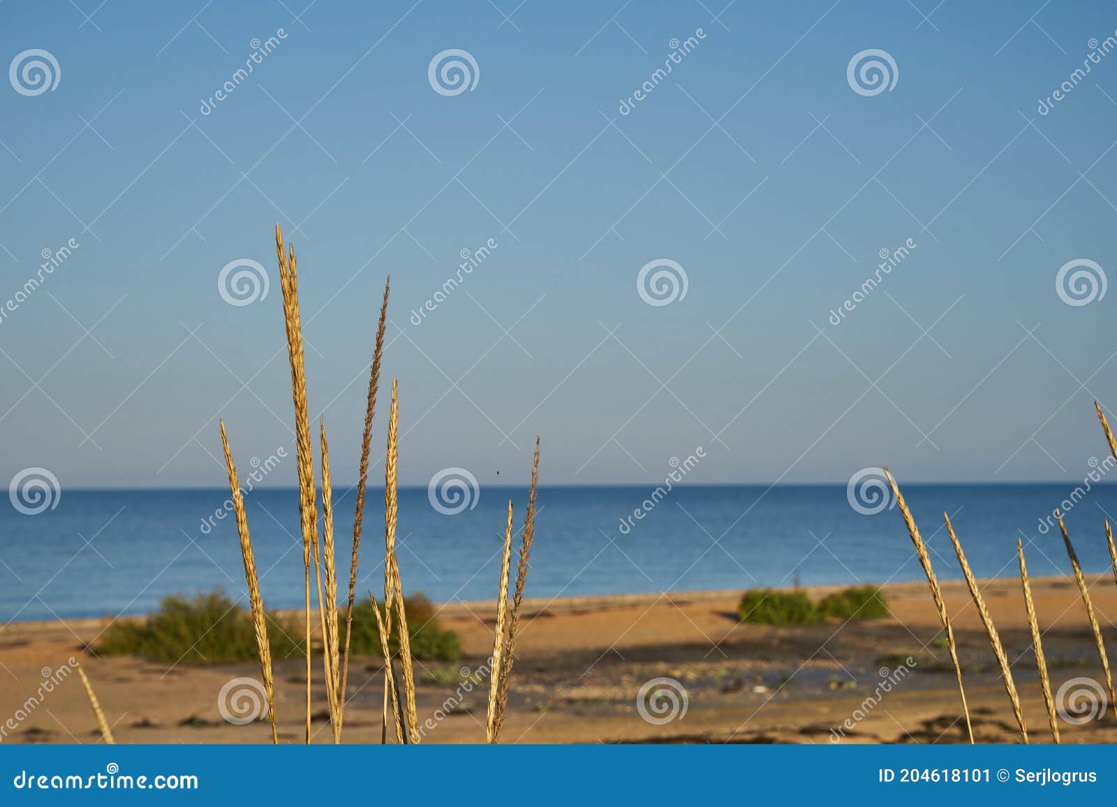 Calm. Sand beach. Calm sea stock image. Image of heaven - 204618101