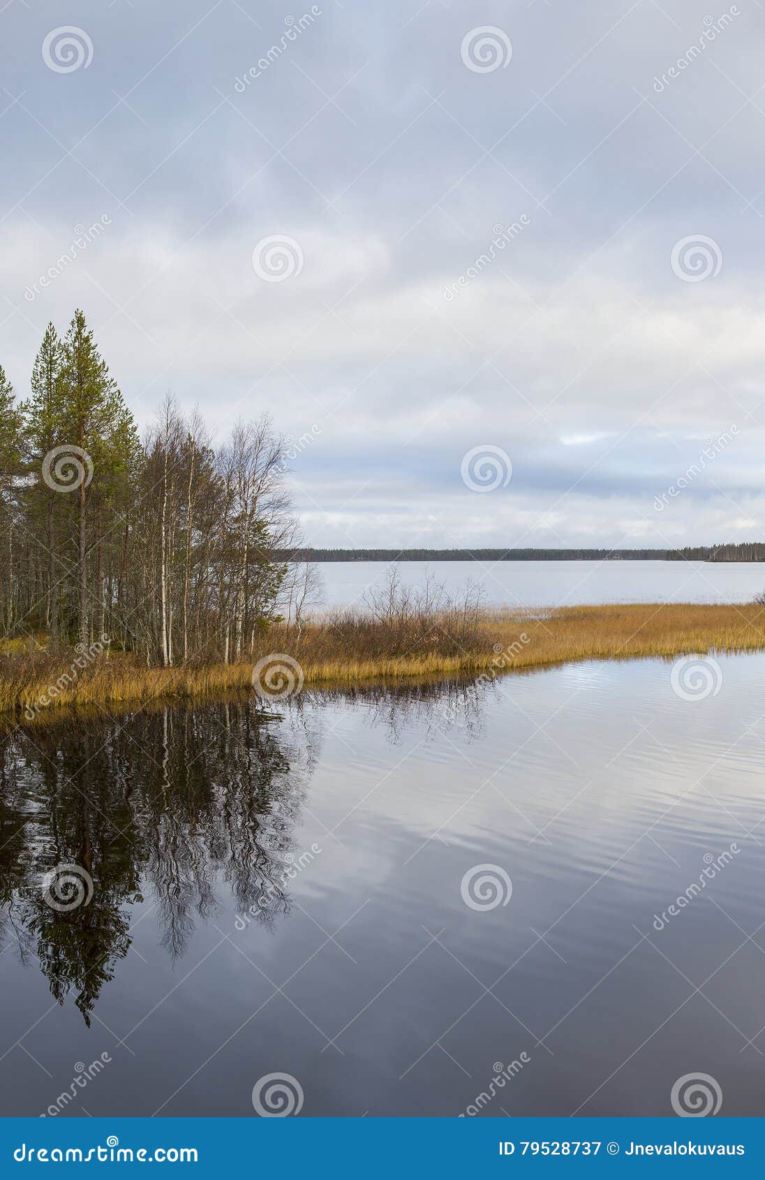 Calm scenery. stock image. Image of applied, colorful - 79528737