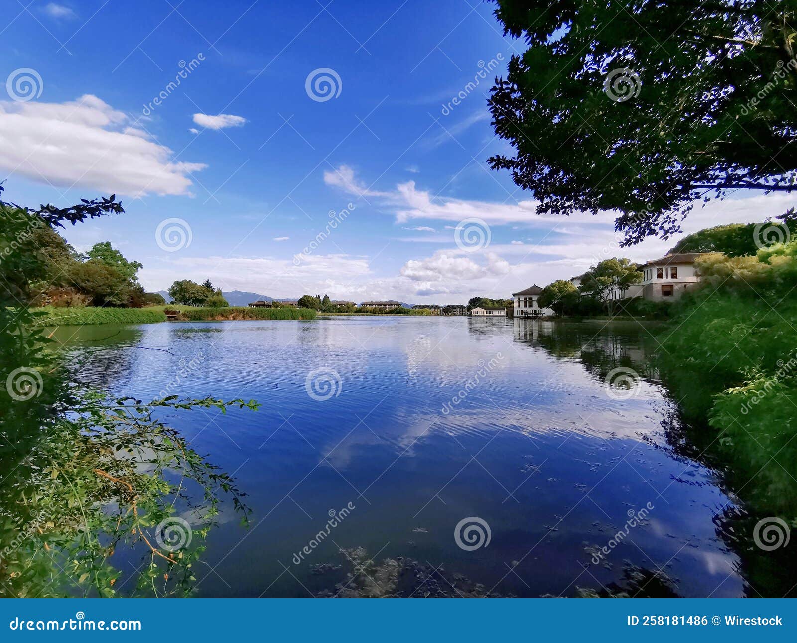 Calm Scenery of a Lake with the Reflection of Trees and Sky on the ...