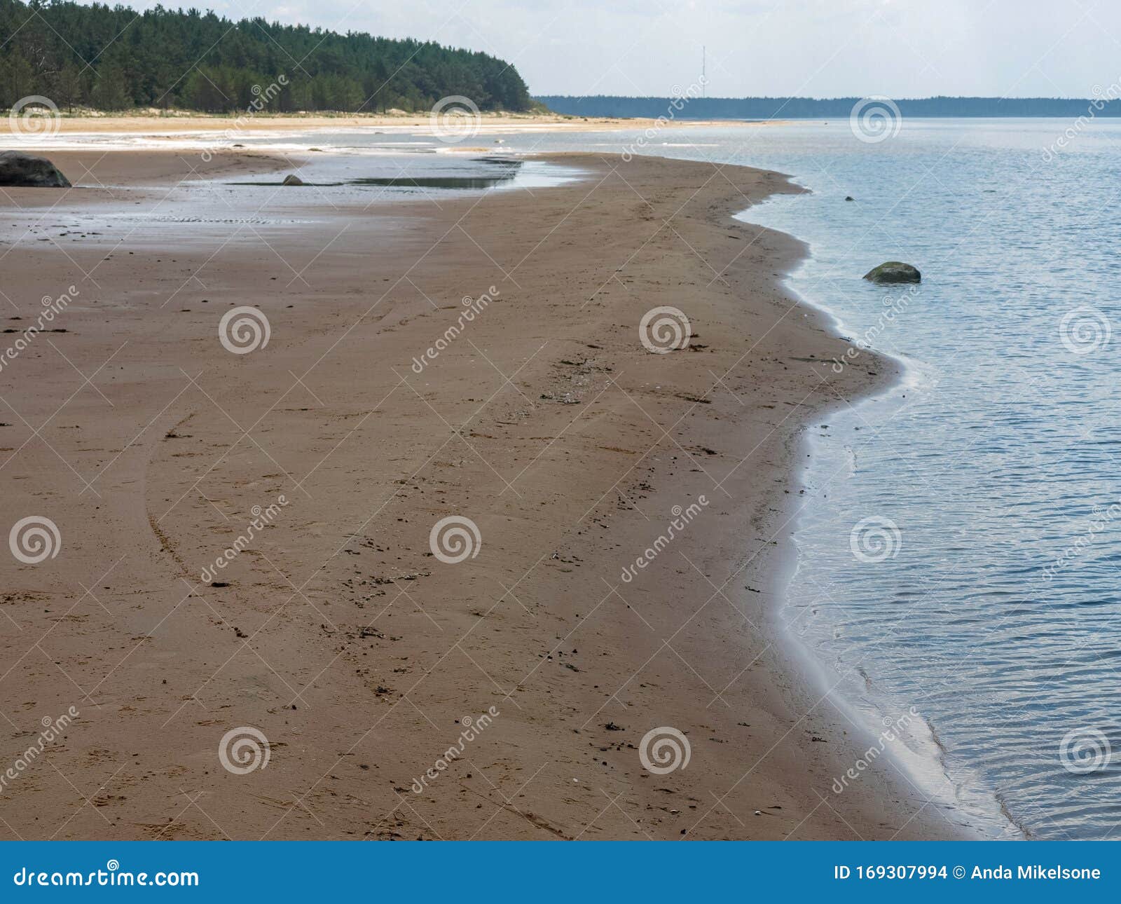 Calm Seashore and Forest on the Horizon Stock Photo - Image of shore ...