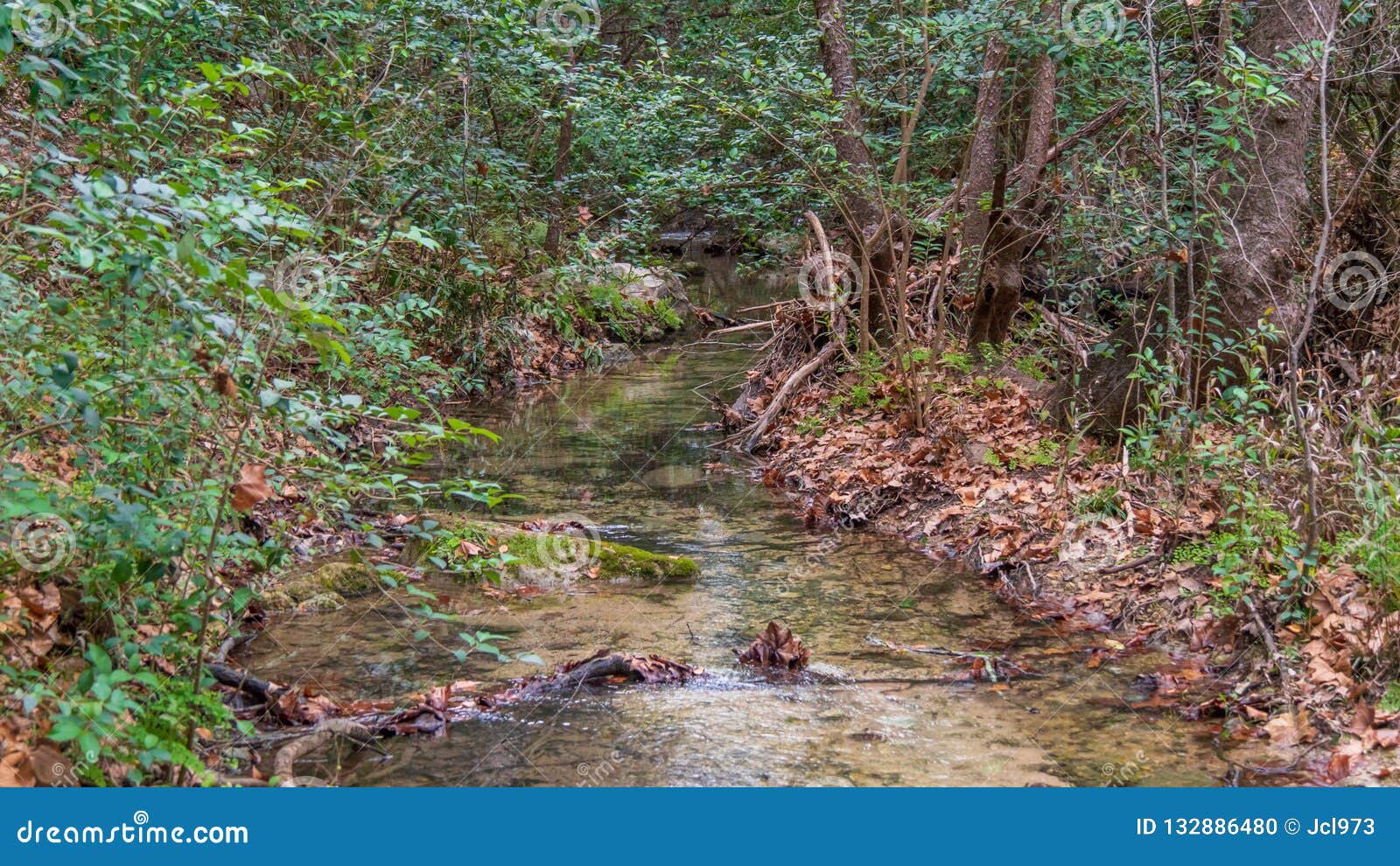 Calm Section of Small River Stream with Fall Colored Leaves Piled Up on ...