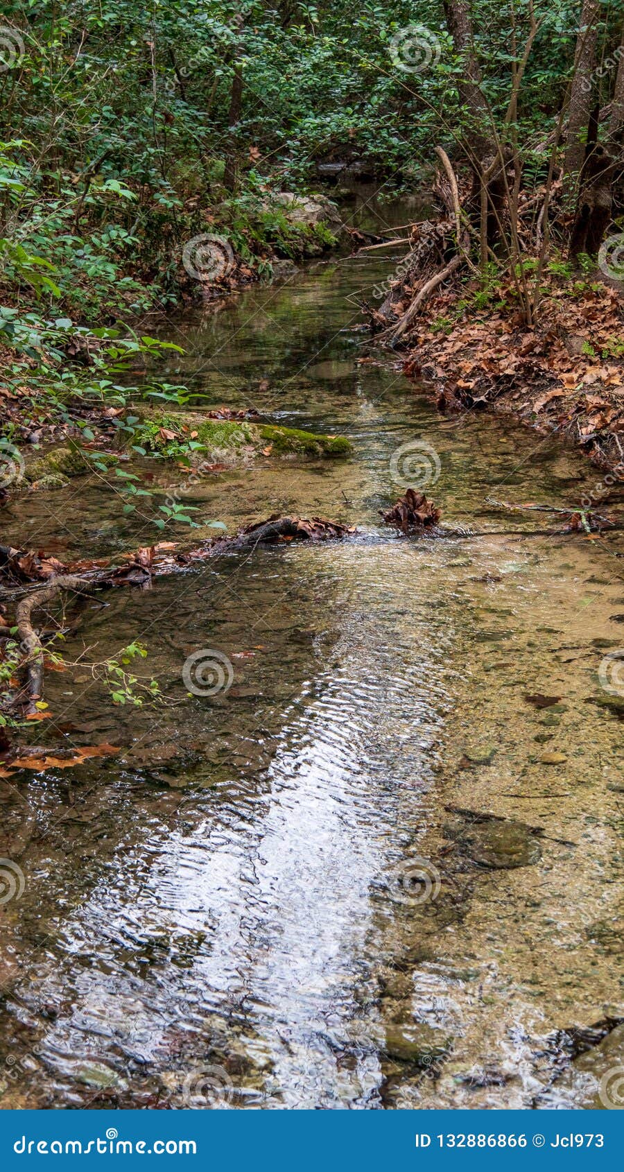 Calm Section of Small River Stream with Fall Colored Leaves Piled Up on ...
