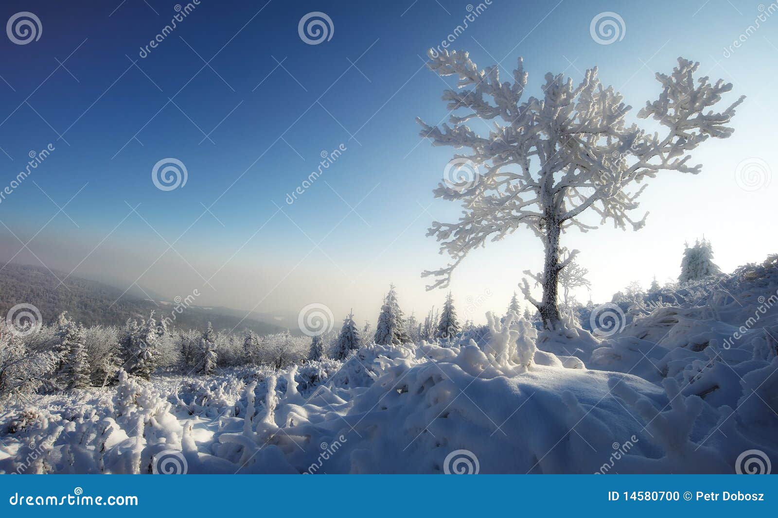 Calm and snow winter stock photo. Image of blue, krusne - 14580700
