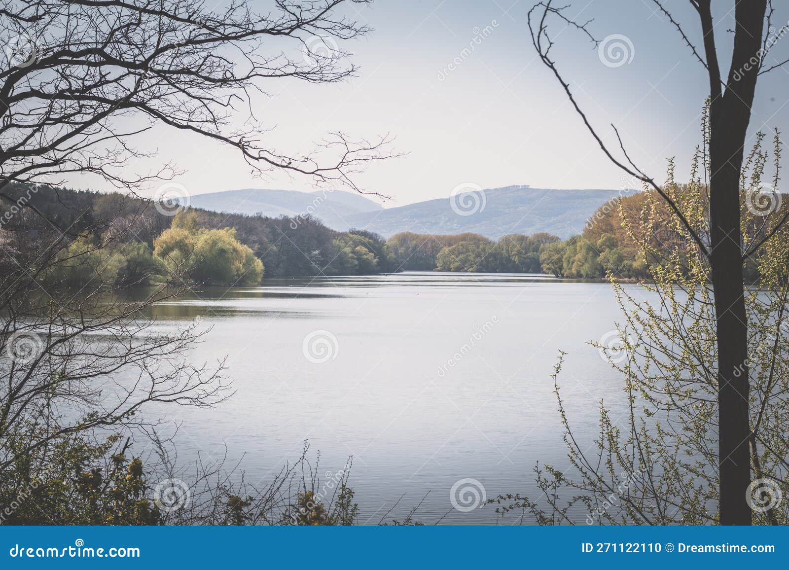 Calm in the Spring Nature, Lake and Trees Stock Photo - Image of wood ...