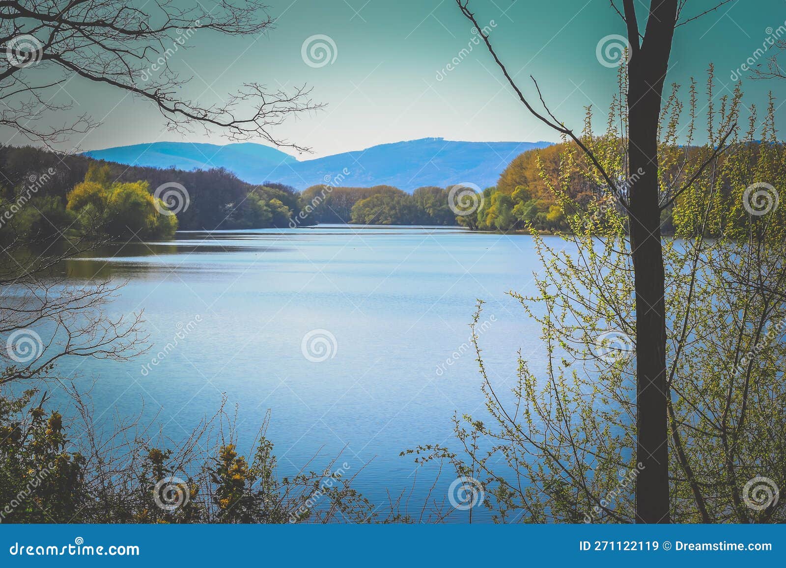 Calm in the Spring Nature, Lake and Trees Stock Image - Image of ...