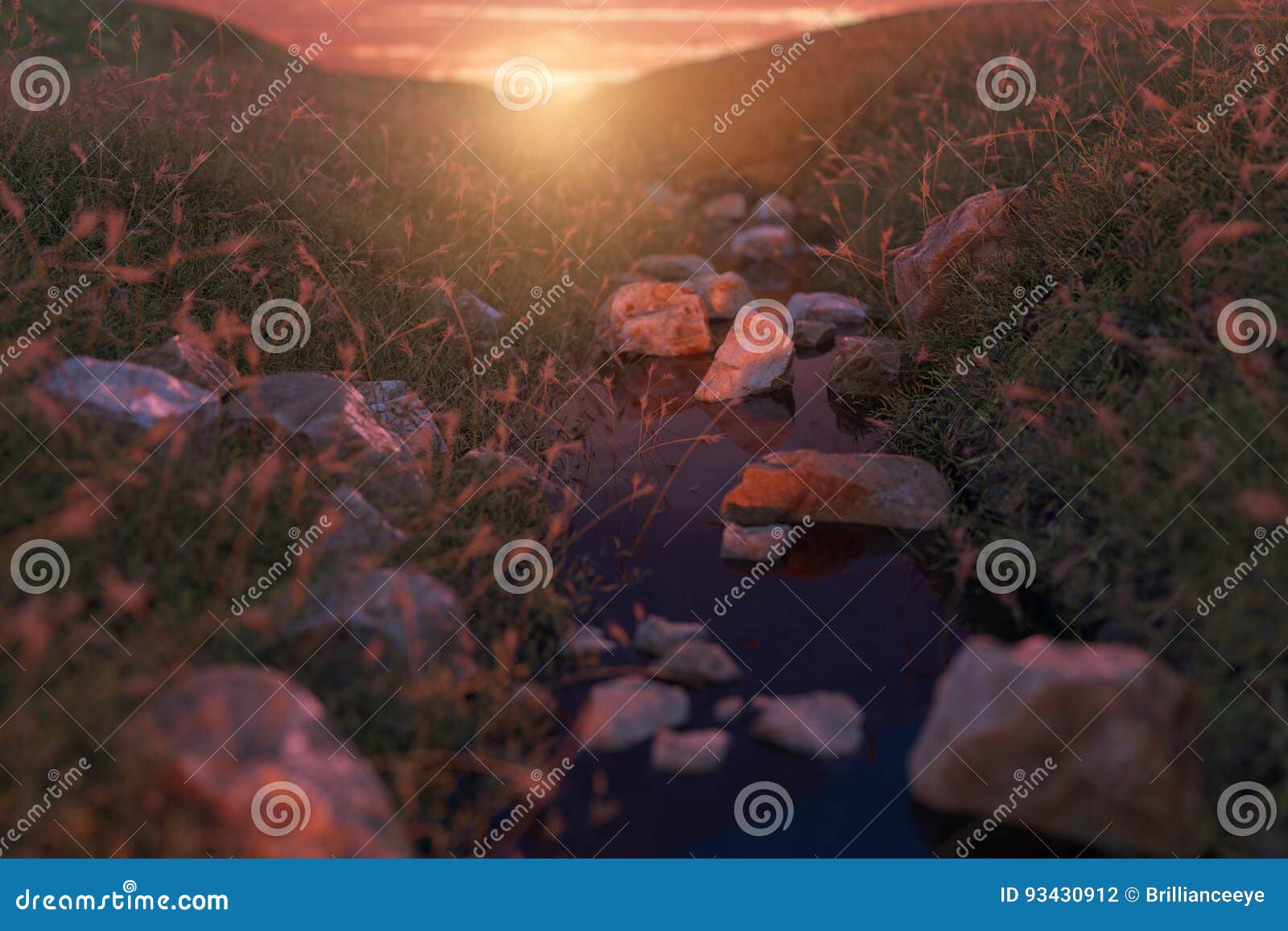 Calm Stream at Grassland in Front of Beautiful Sunset Stock ...