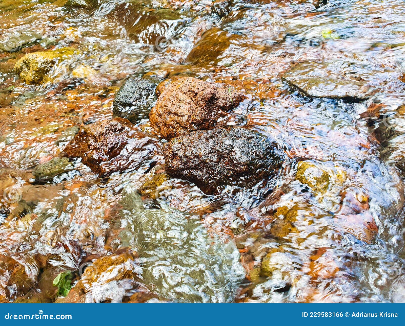 Calm Water Flow in the River Stock Photo - Image of river, stream ...