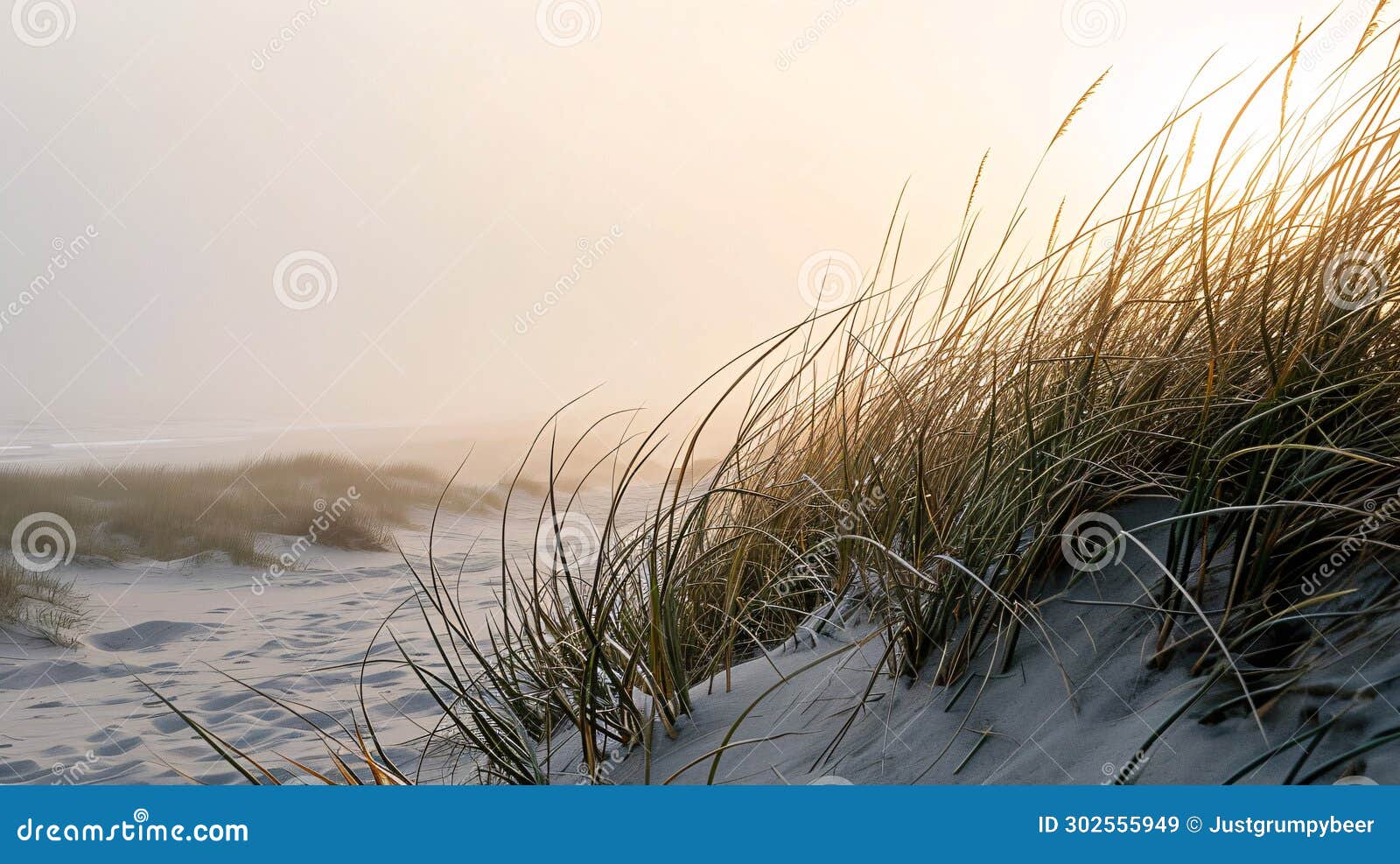 Calm Sunset on the Beach with Grass and Sand Stock Illustration ...