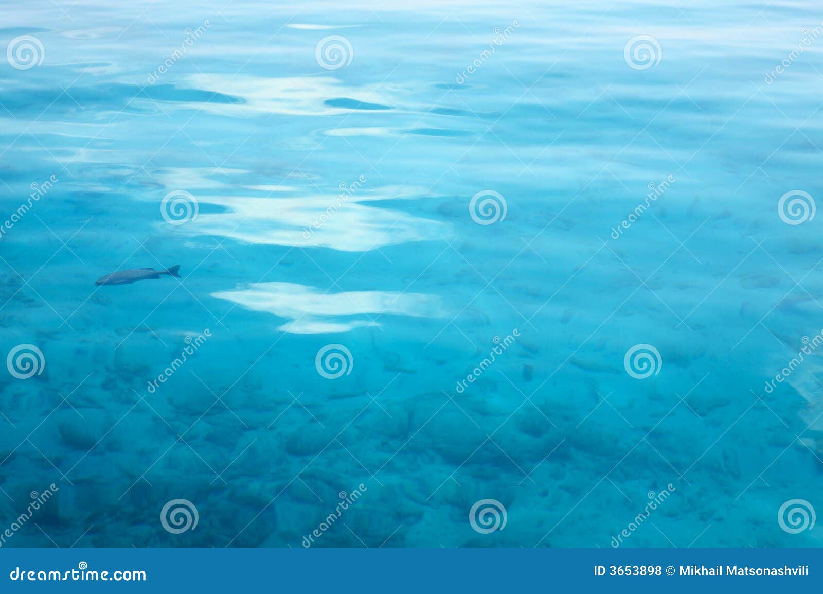 Calm surface of the water stock photo. Image of pattern - 3653898