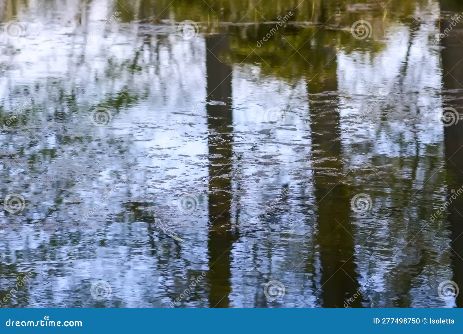Calm Surface of the Water. Reflections in Pond with Plants Stock Photo ...