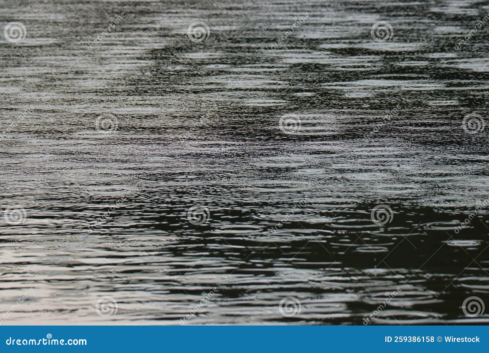 Calm Surface of the Water with Ripples and Reflection Stock Photo ...