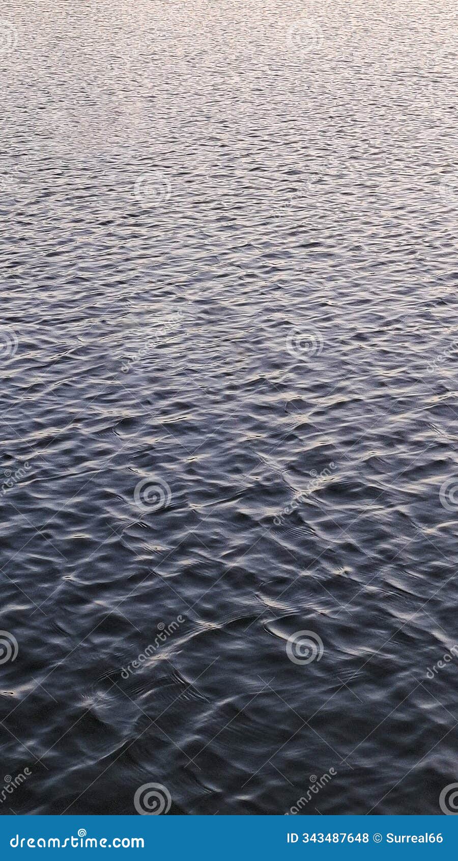 Serene Rippling Water Surface at Sunset. Water Background Stock Photo ...