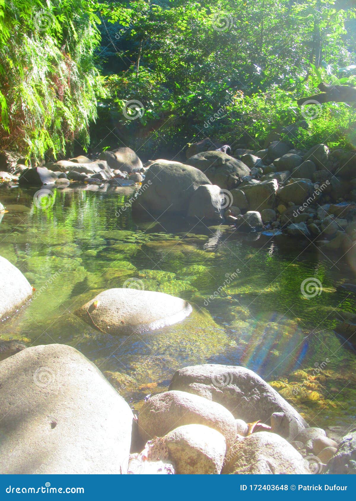 Transparent River Flows between Rocks in Rainforest Stock Photo - Image ...
