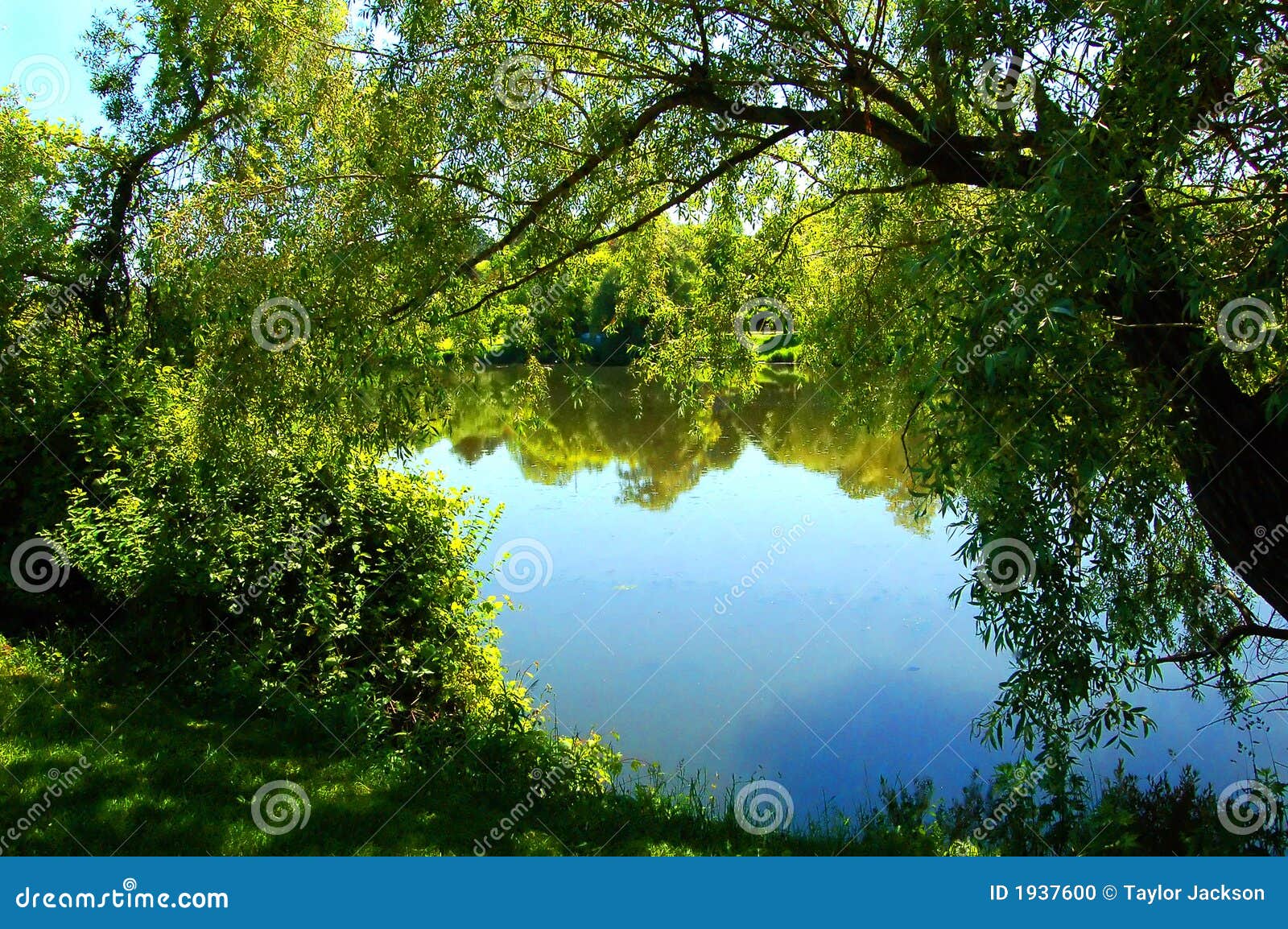 Calm Water stock photo. Image of cloudless, pond, dappled - 1937600
