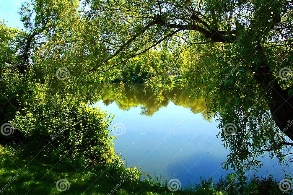 Calm Water stock photo. Image of cloudless, pond, dappled - 1937600
