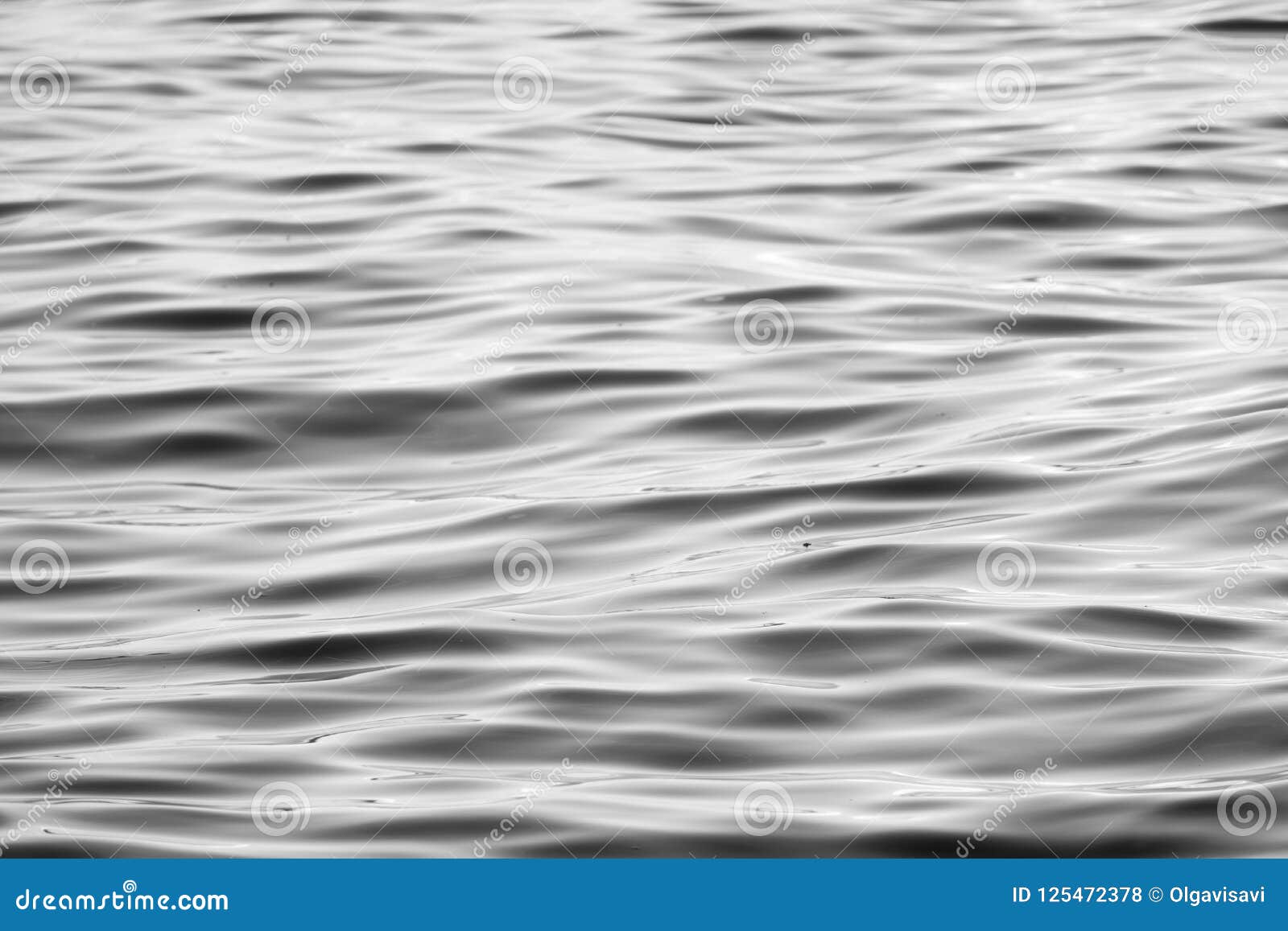 Calm water surface stock photo. Image of light, lake - 125472378