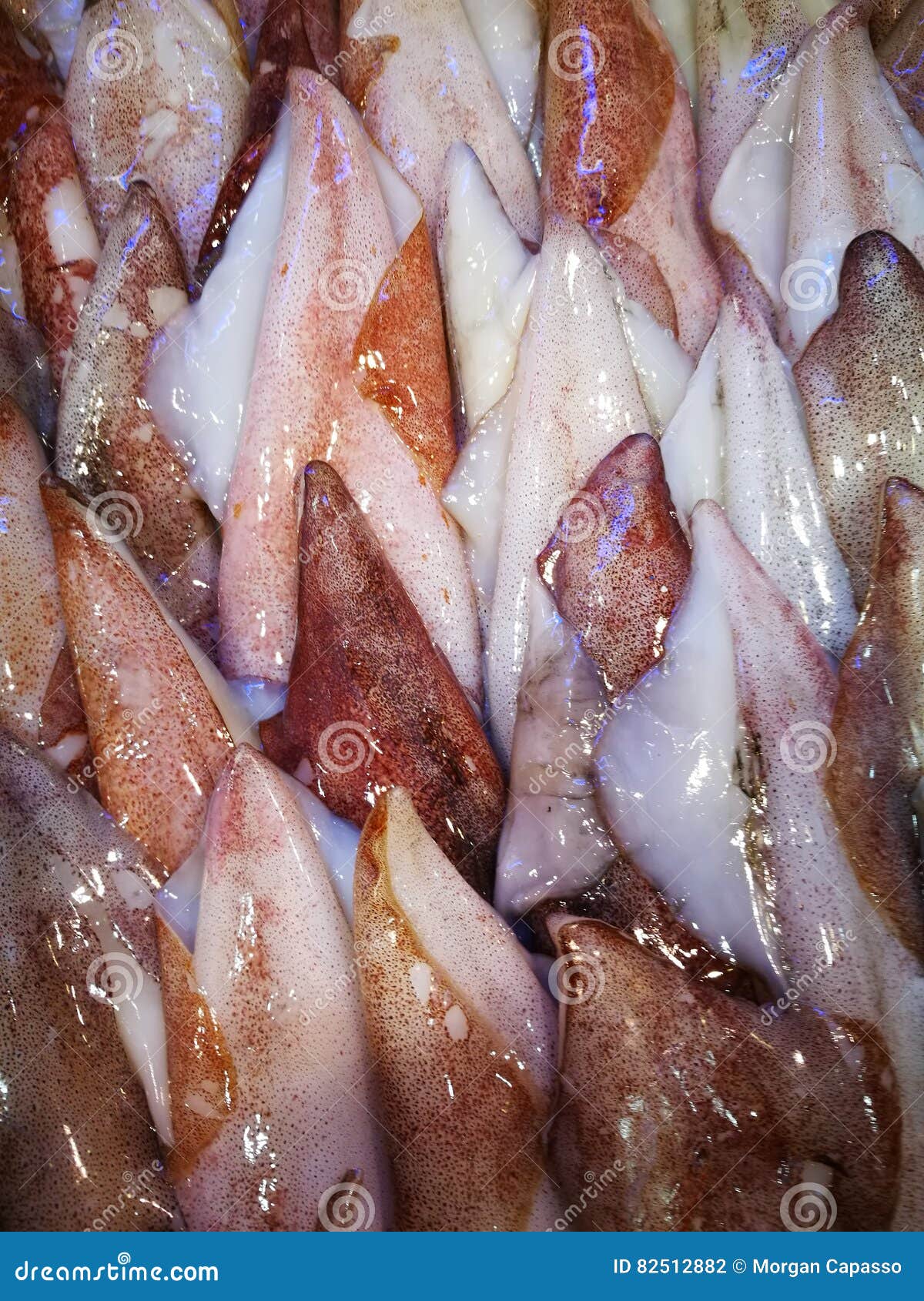 Calmar Frais Sur La Poissonnerie Photo stock - Image du marché ...