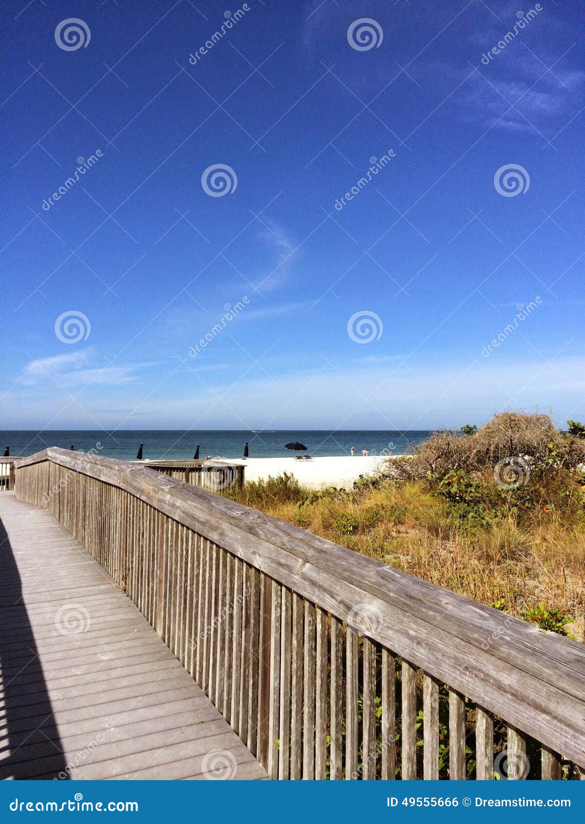 Calming stock photo. Image of calming, water, sand - 49555666