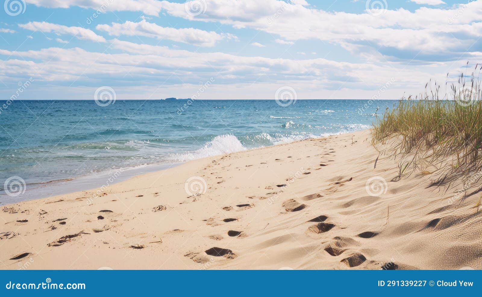 Calming Beach Walk stock illustration. Illustration of leisure - 291339227