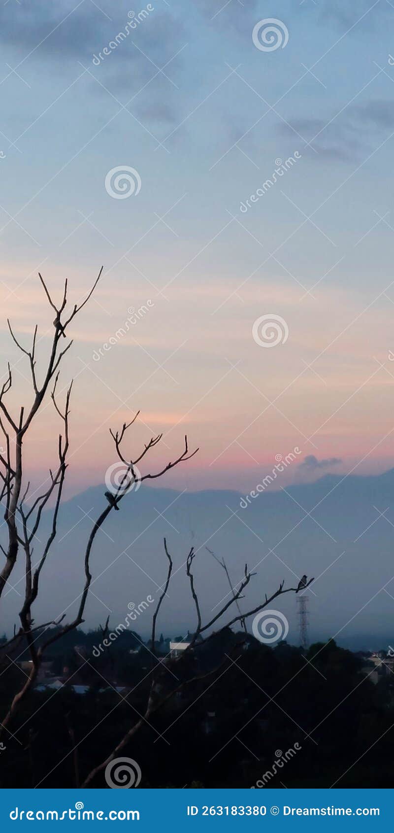 Calming Beautiful Morning View Stock Photo - Image of nature, horizon ...