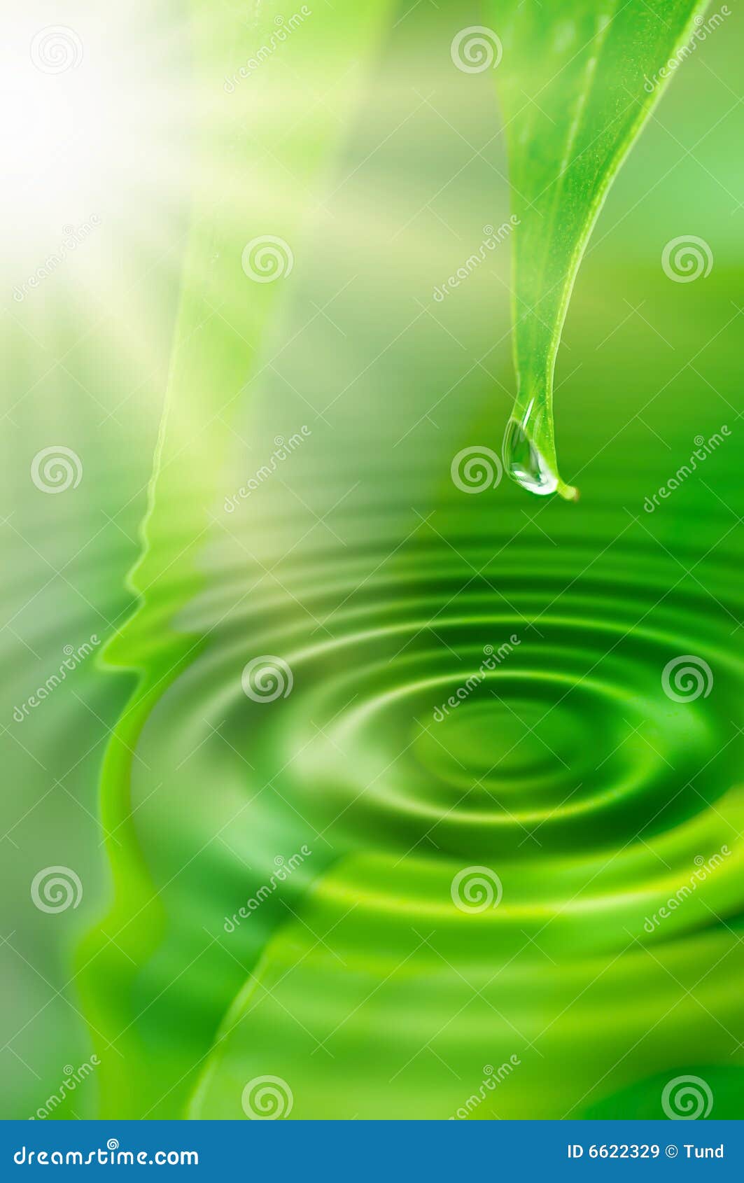 Calming environment stock image. Image of calming, green - 6622329