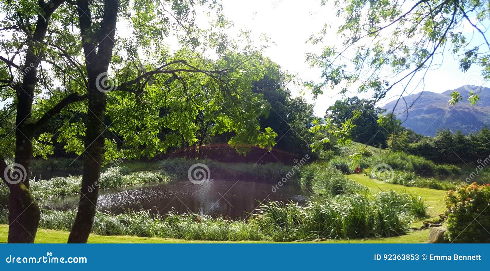Calming Nature And Winter Scenes Around Lake In Center Of Malmo In ...