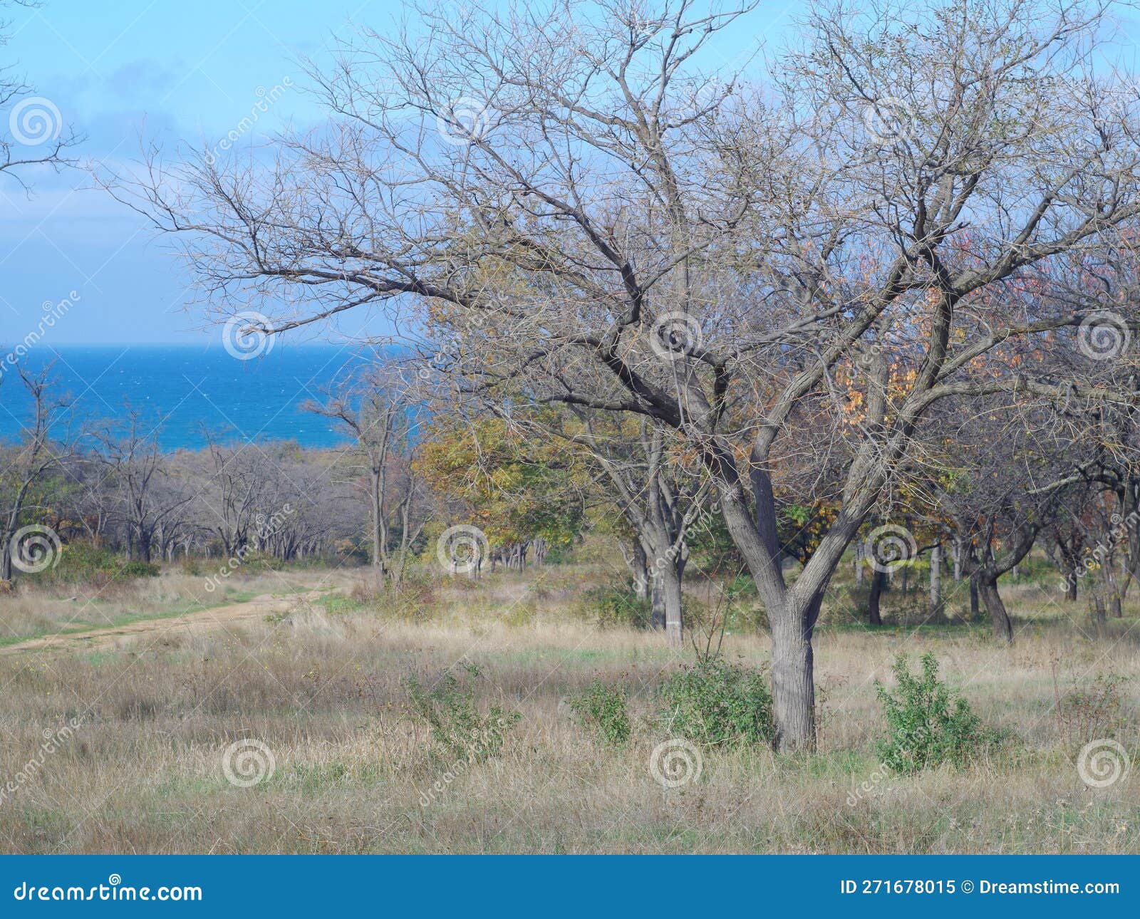 Calming spring landscape stock image. Image of background - 271678015