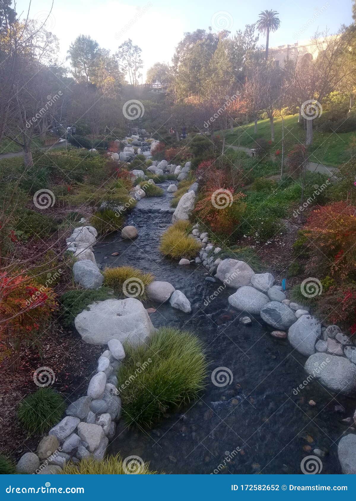 Calming Stream stock photo. Image of calming, scenery - 172582652