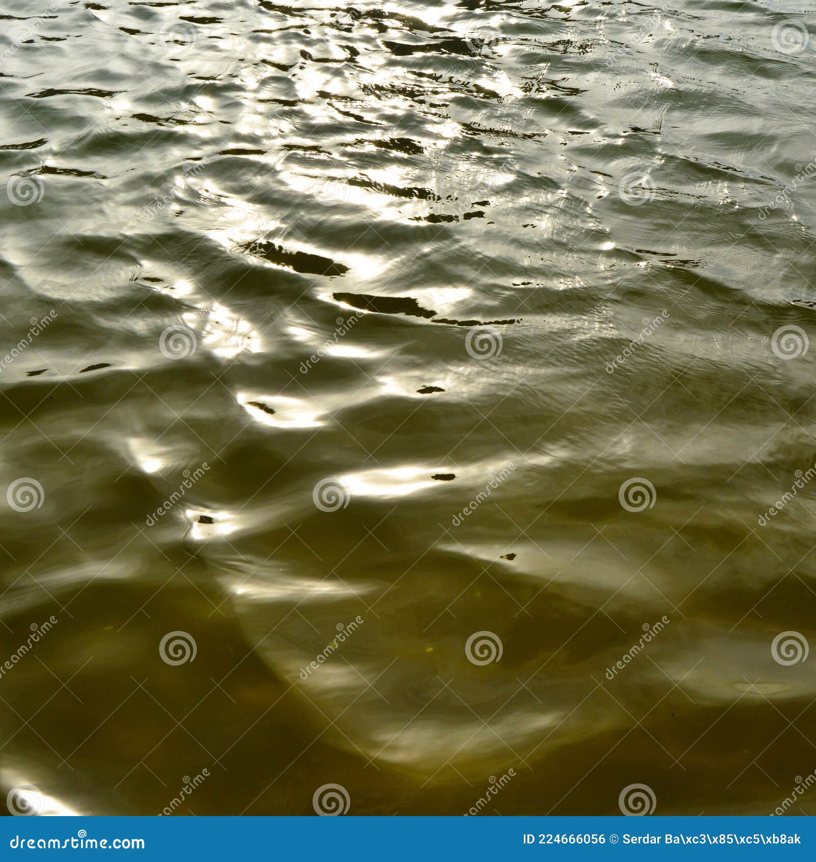 Calmly Flowing, Clean and Crystal Clear River Stock Photo - Image of ...