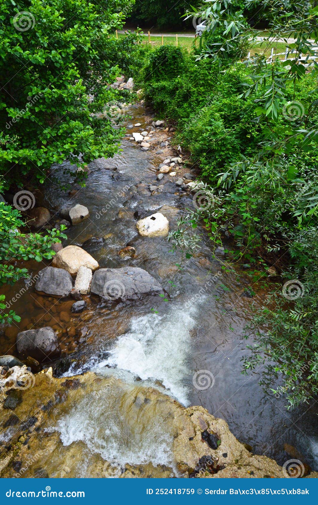Calmly Flowing, Clean and Crystal Clear River Stock Image - Image of ...