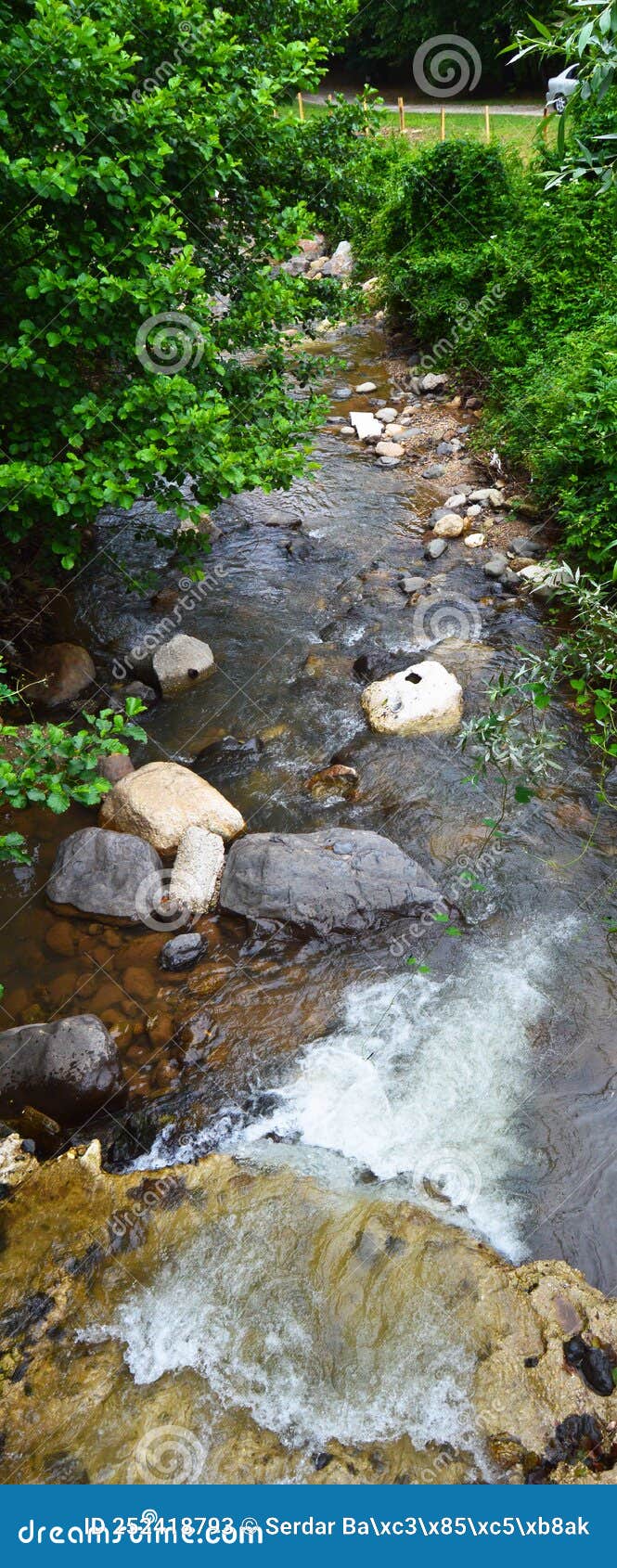 Calmly Flowing, Clean and Crystal Clear River Stock Image - Image of ...
