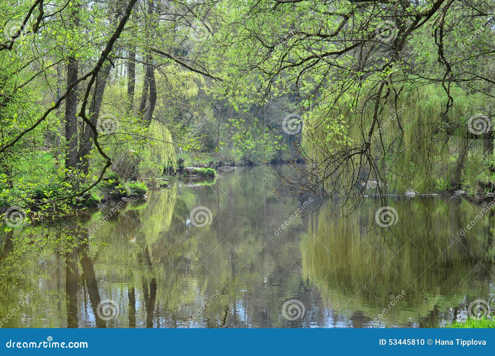 Calmly Stromende Rivier Nezarka, Zuid-Bohemen Stock Foto - Image of ...
