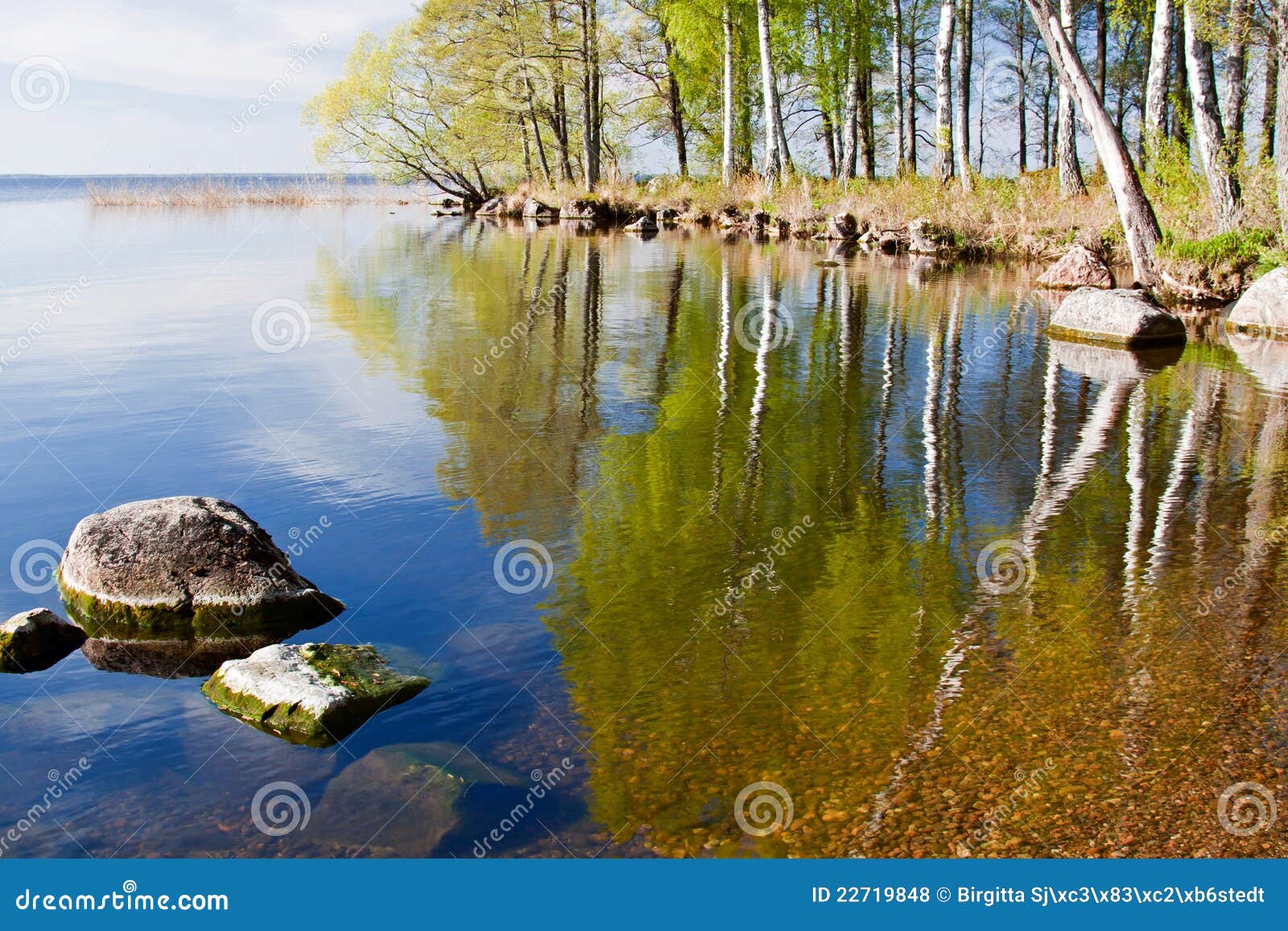 Calmness. stock photo. Image of reflection, hjalmaren - 22719848
