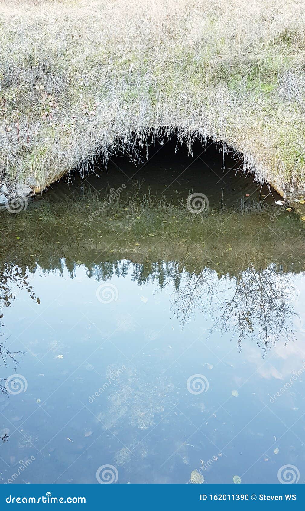 Calvert under a road stock photo. Image of water, calvert - 162011390