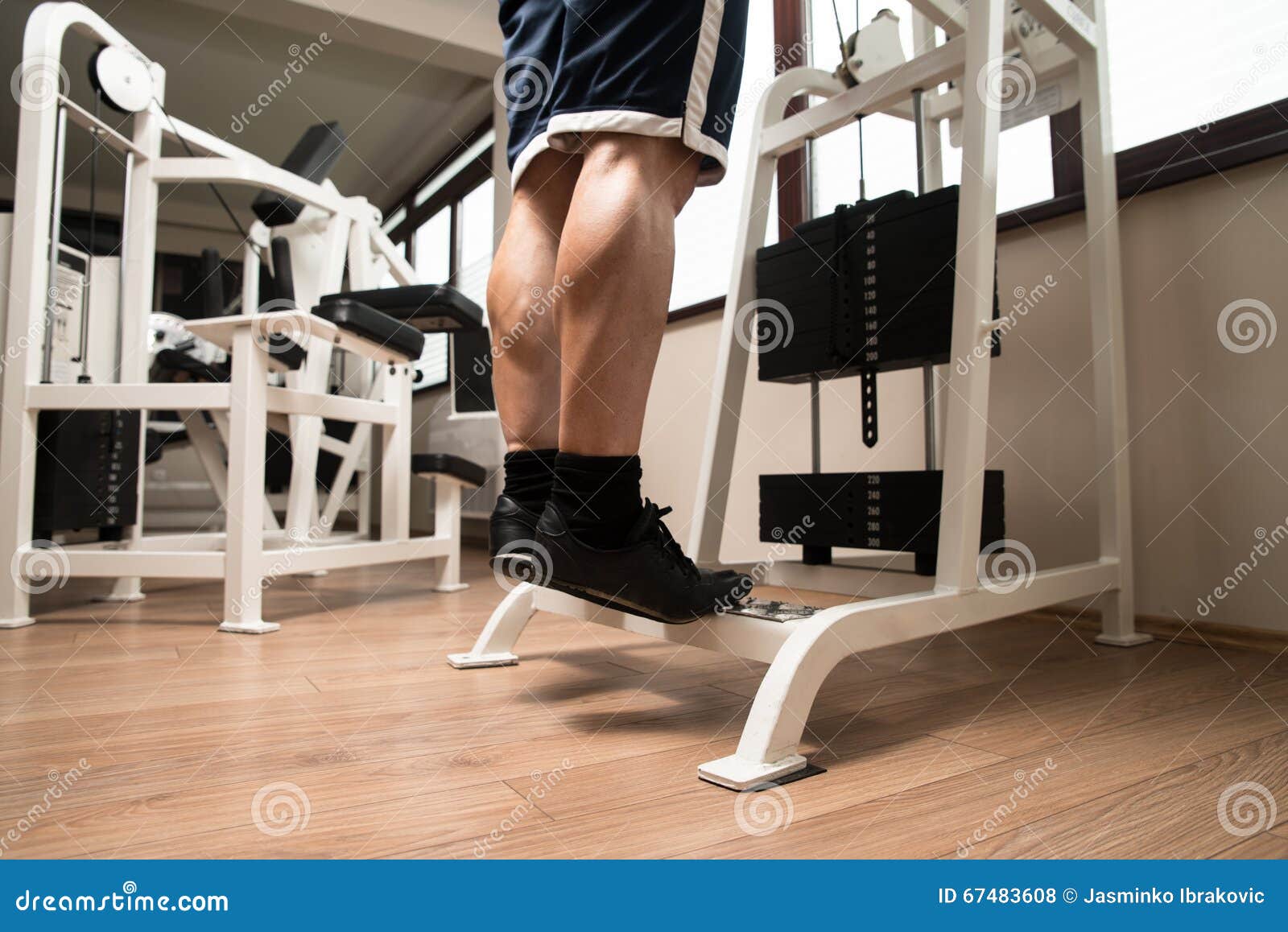 Bodybuilding Calves Stock Images - Download 415 Royalty Free Photos