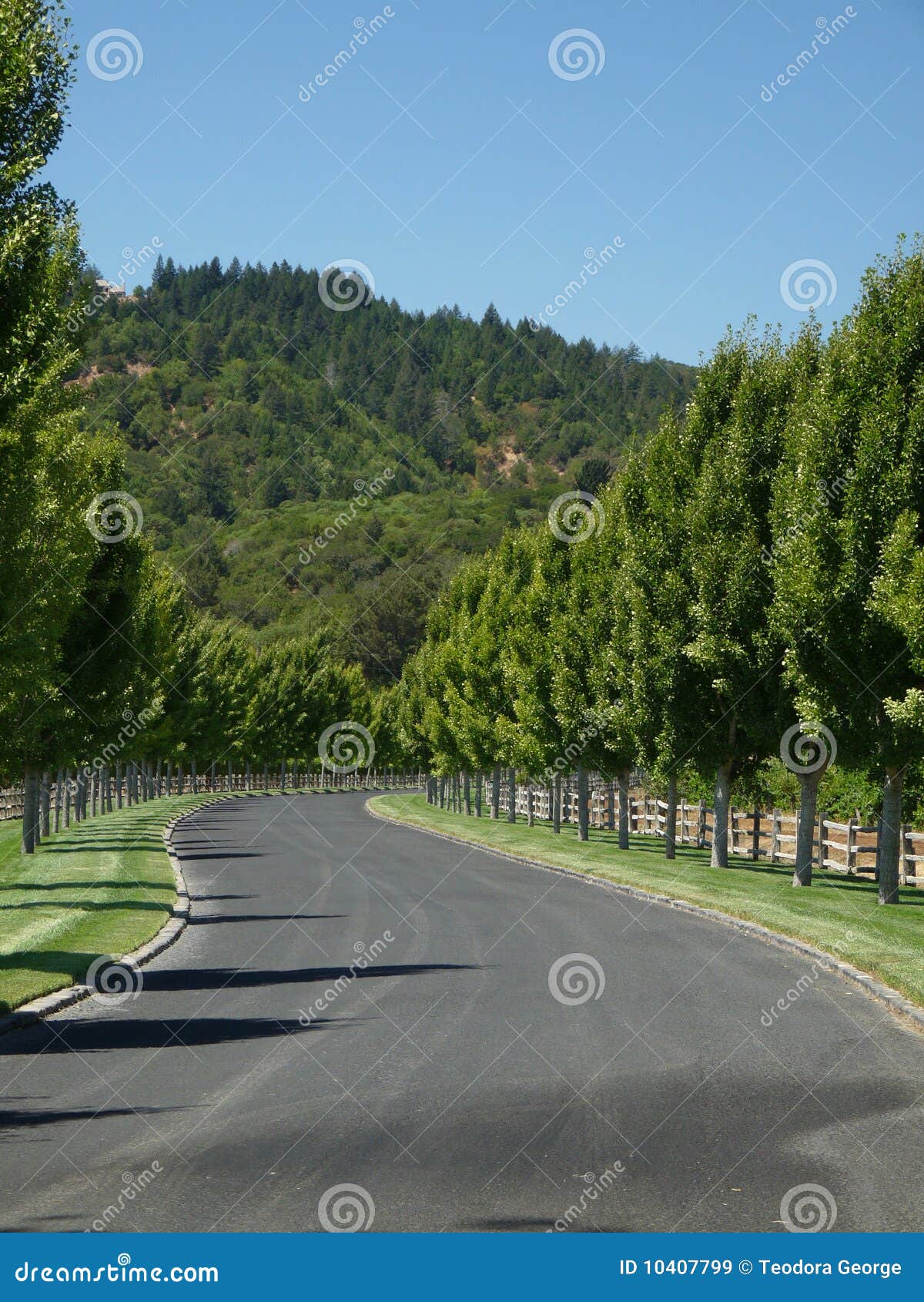 Calzada hermosa imagen de archivo. Imagen de paisaje - 10407799