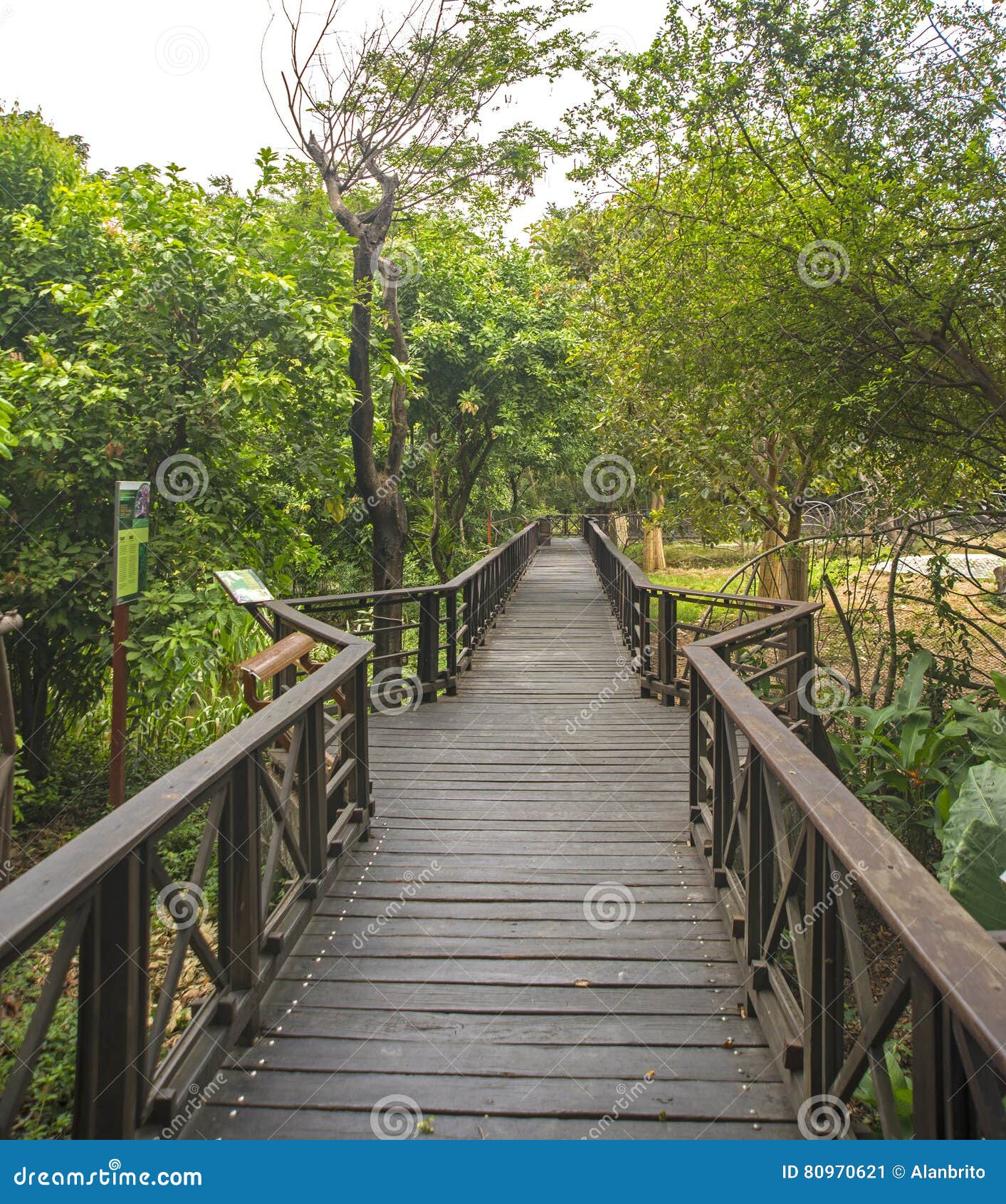 Calzada Peatonal En Un Parque Imagen de archivo - Imagen de tropical ...
