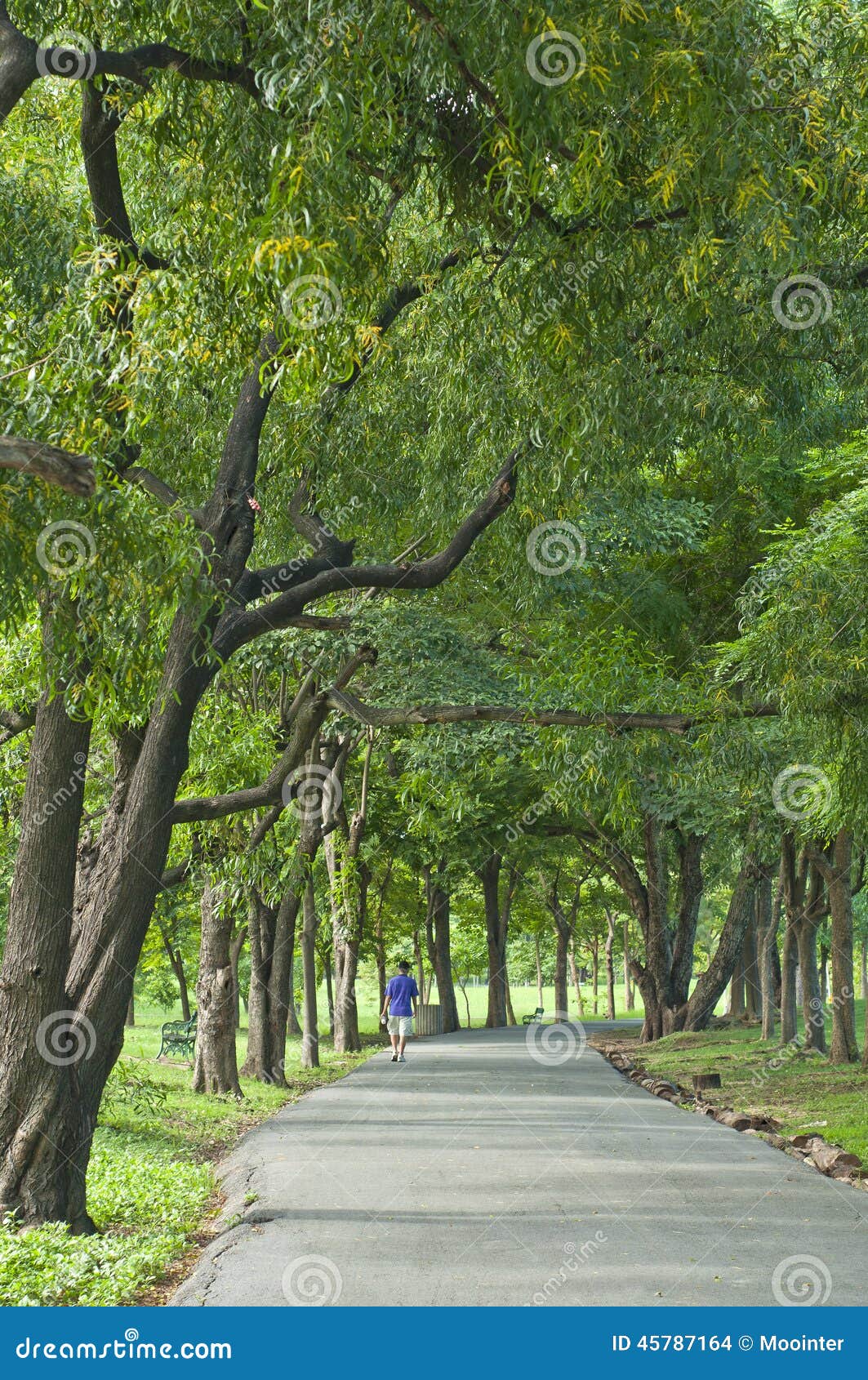 Calzada Peatonal Para El Ejercicio Alineada Imagen de archivo editorial ...