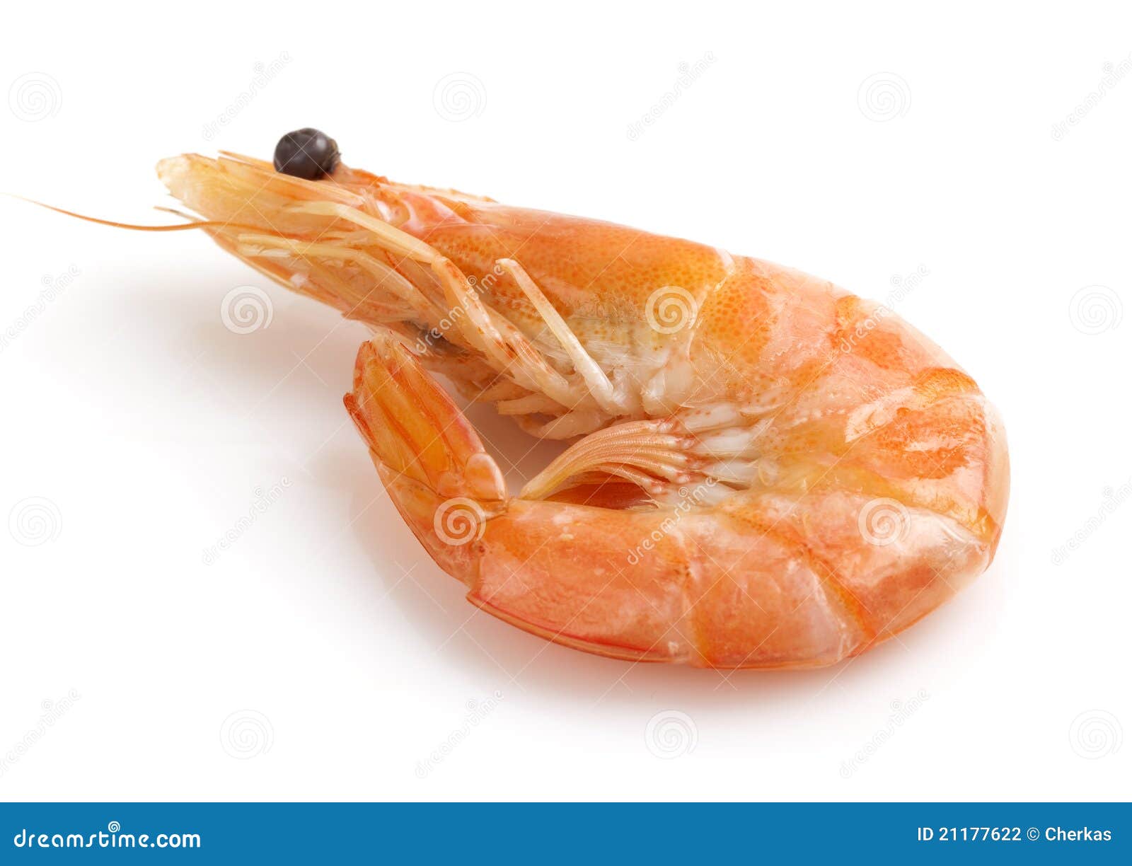 Camarón foto de archivo. Imagen de blanco, sano, preparado - 21177622
