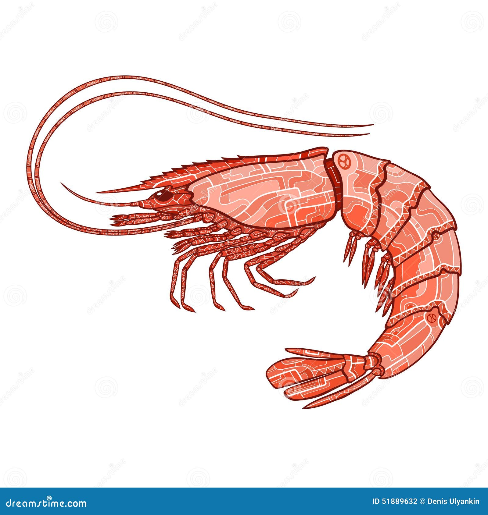 Camarón decorativo stock de ilustración. Ilustración de gamba - 51889632