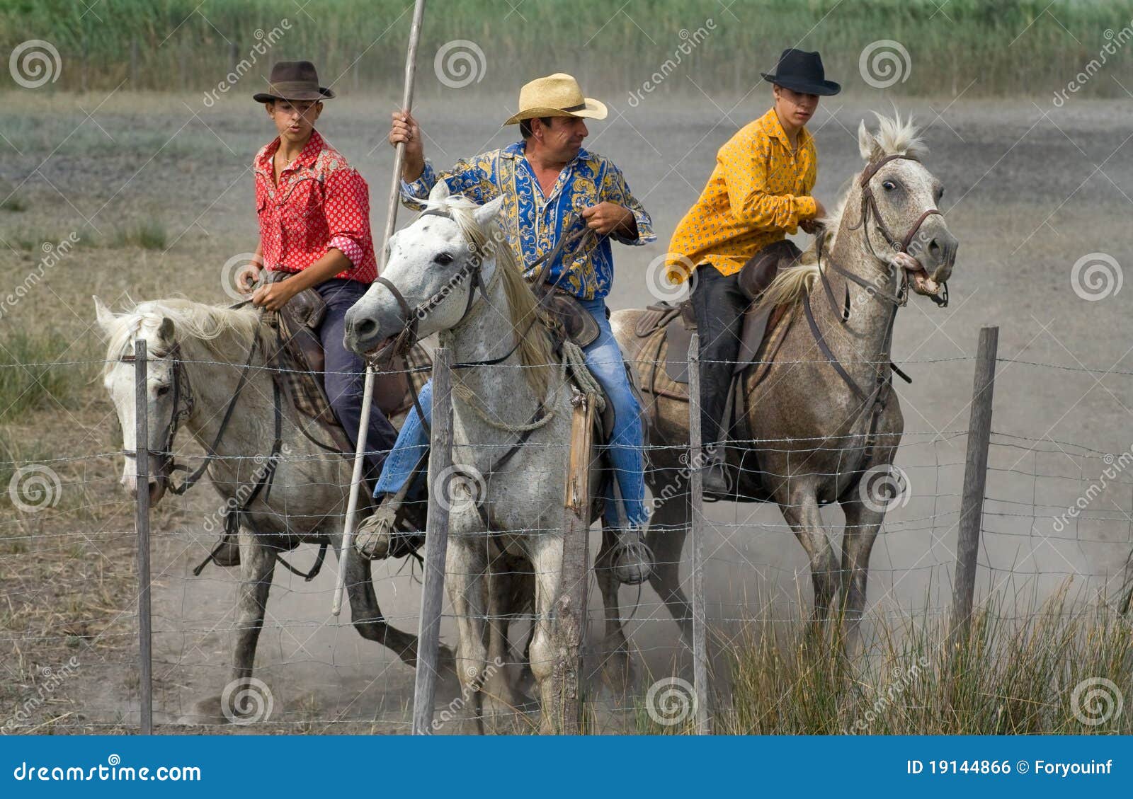 Camargue Cowboys after Bull Racing Editorial Photo - Image of ...