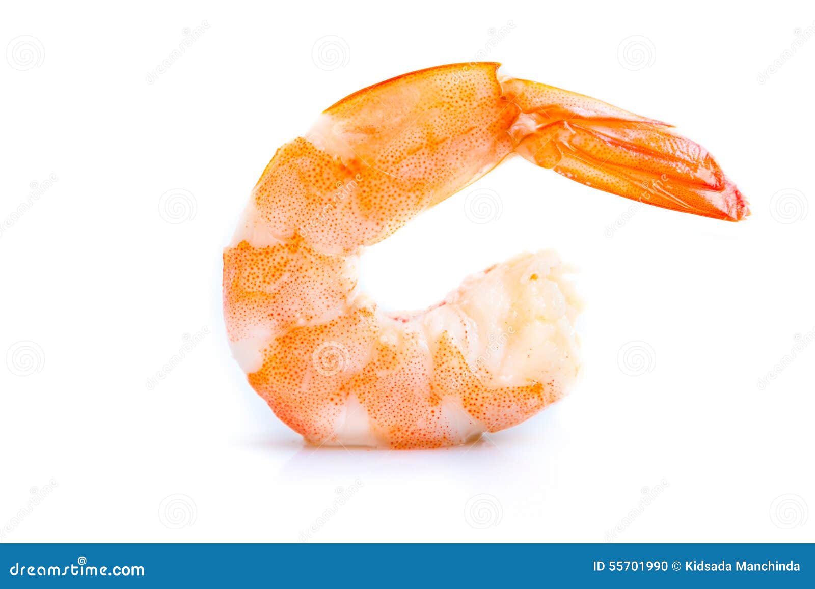 Camarones foto de archivo. Imagen de krill, verde, cocinado - 55701990