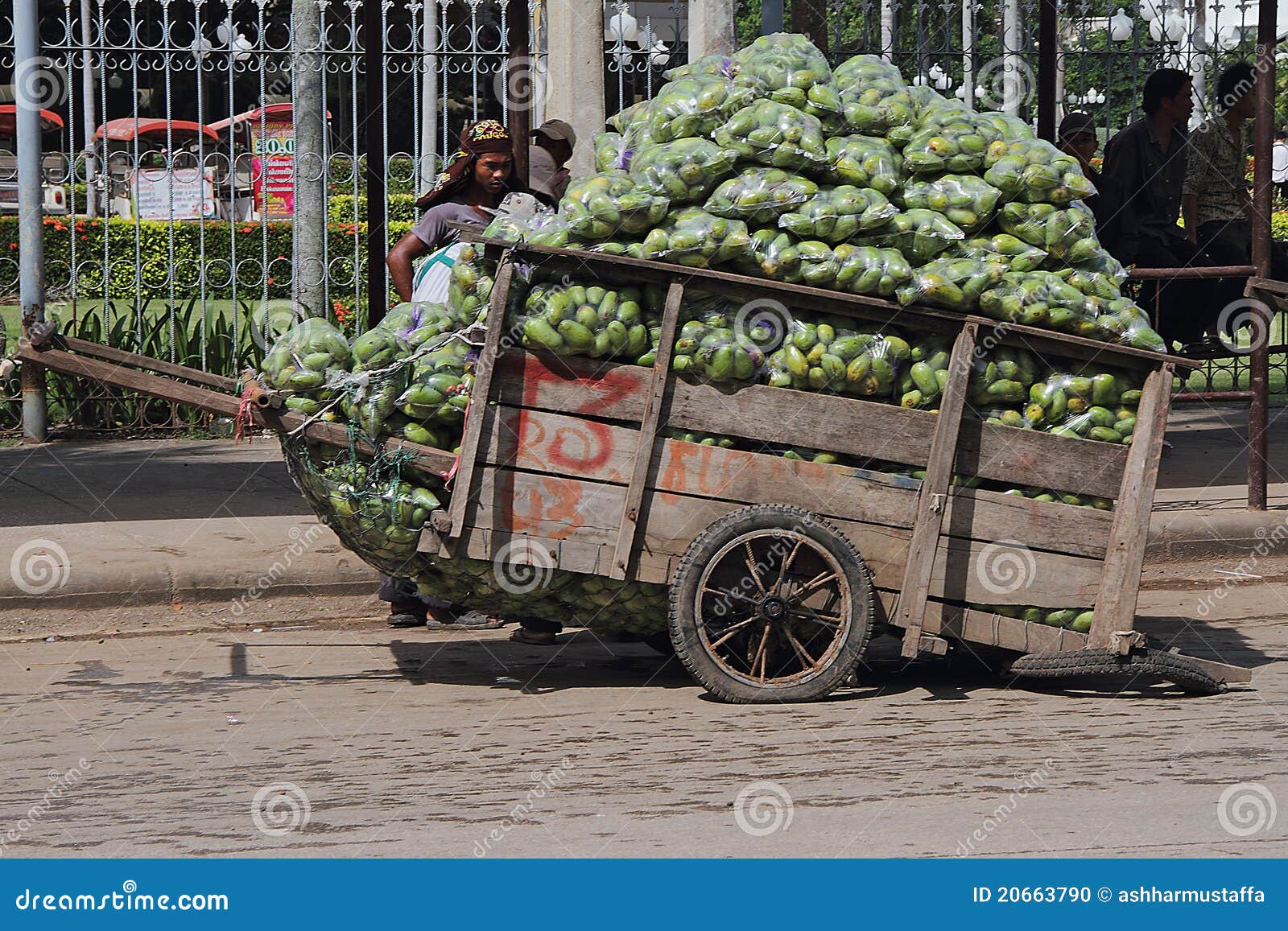 Cambodian Cart Loaded with Mangoes Editorial Image - Image of load ...