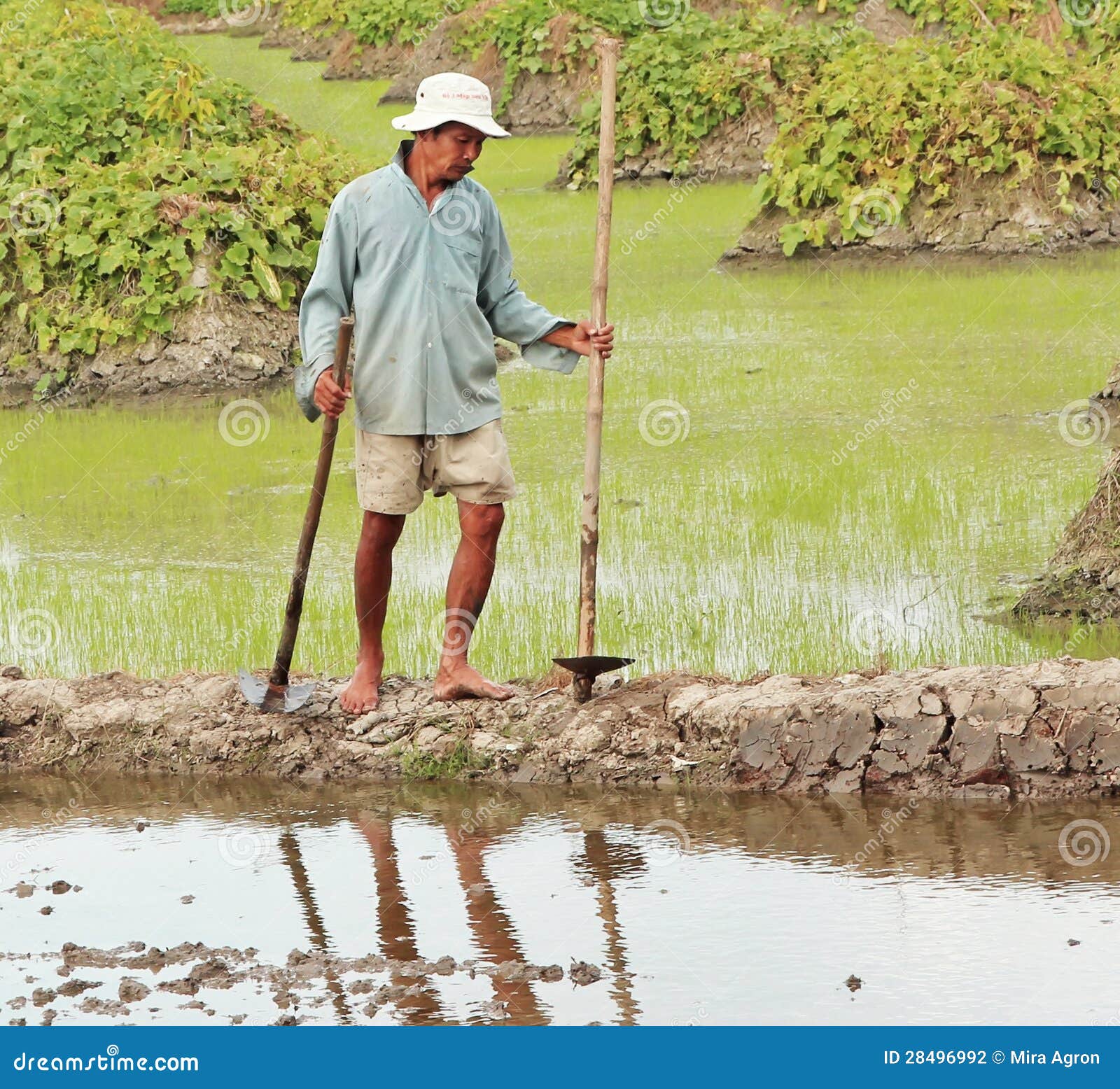 Cambodian Farmer editorial photography. Image of rural - 28496992