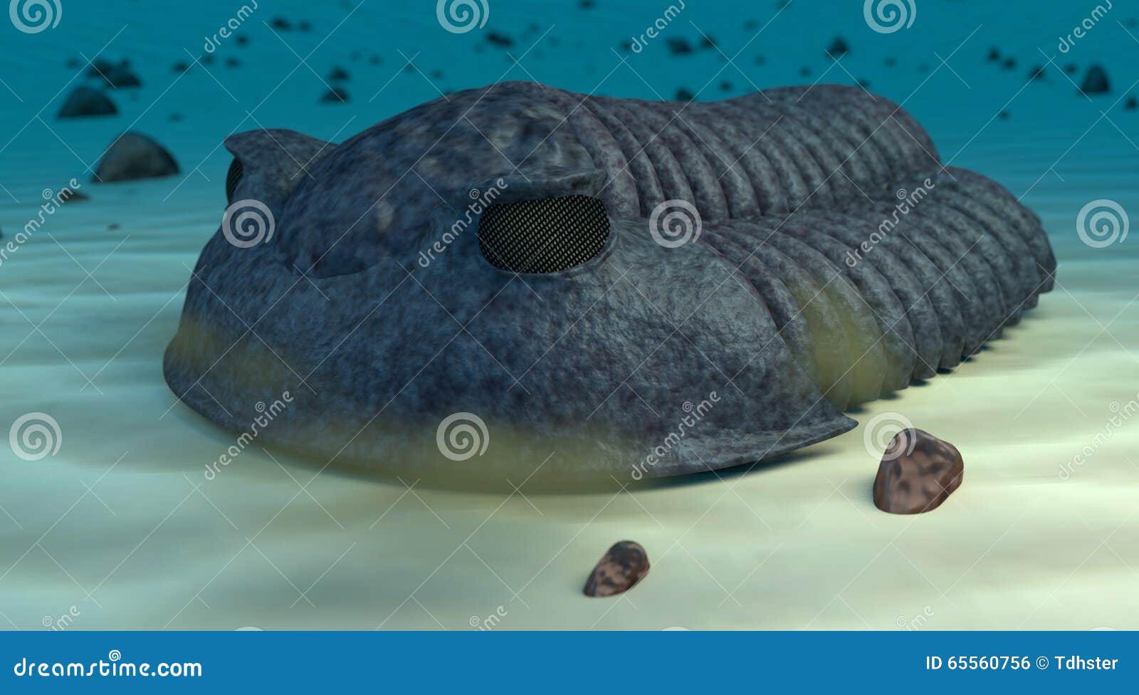 Cambric trilobite render stock illustration. Illustration of insect ...