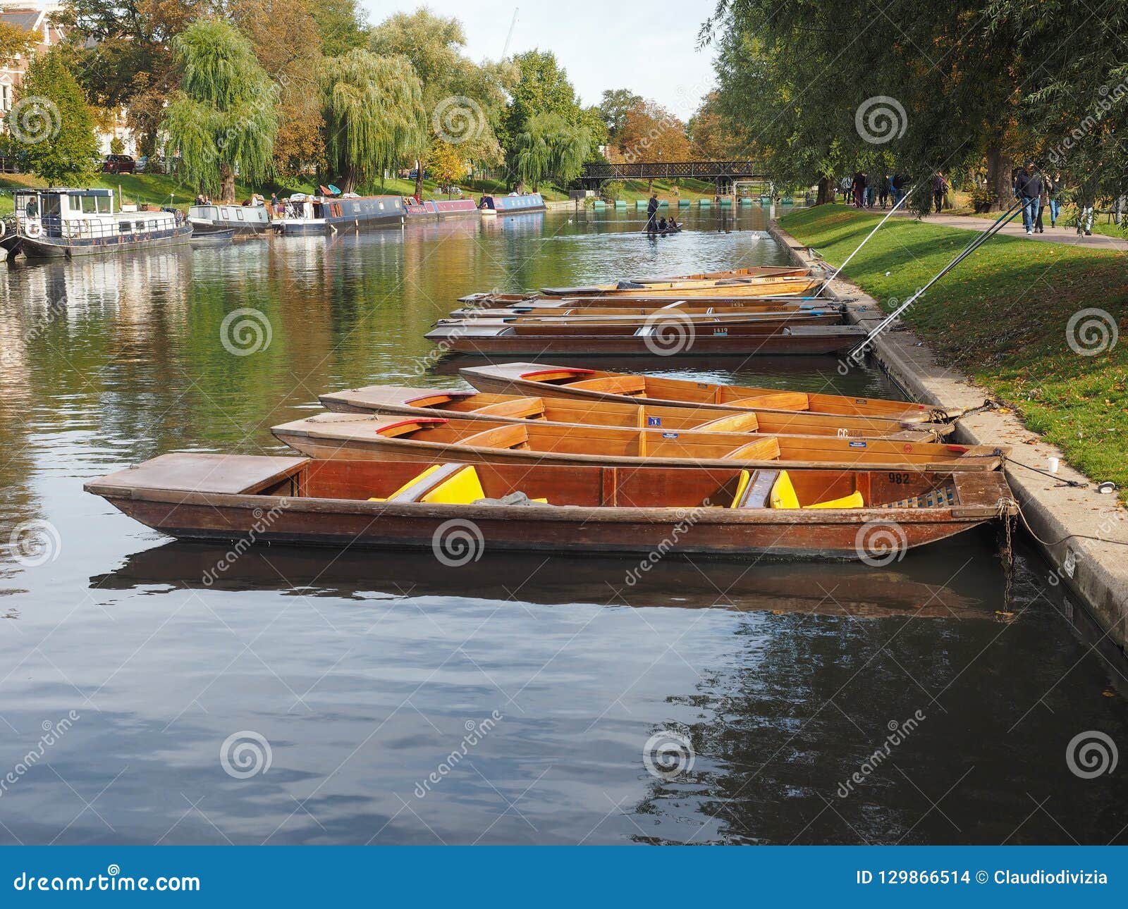Came Do Rio Que Punting Em Cambridge Foto de Stock - Imagem de inglês ...