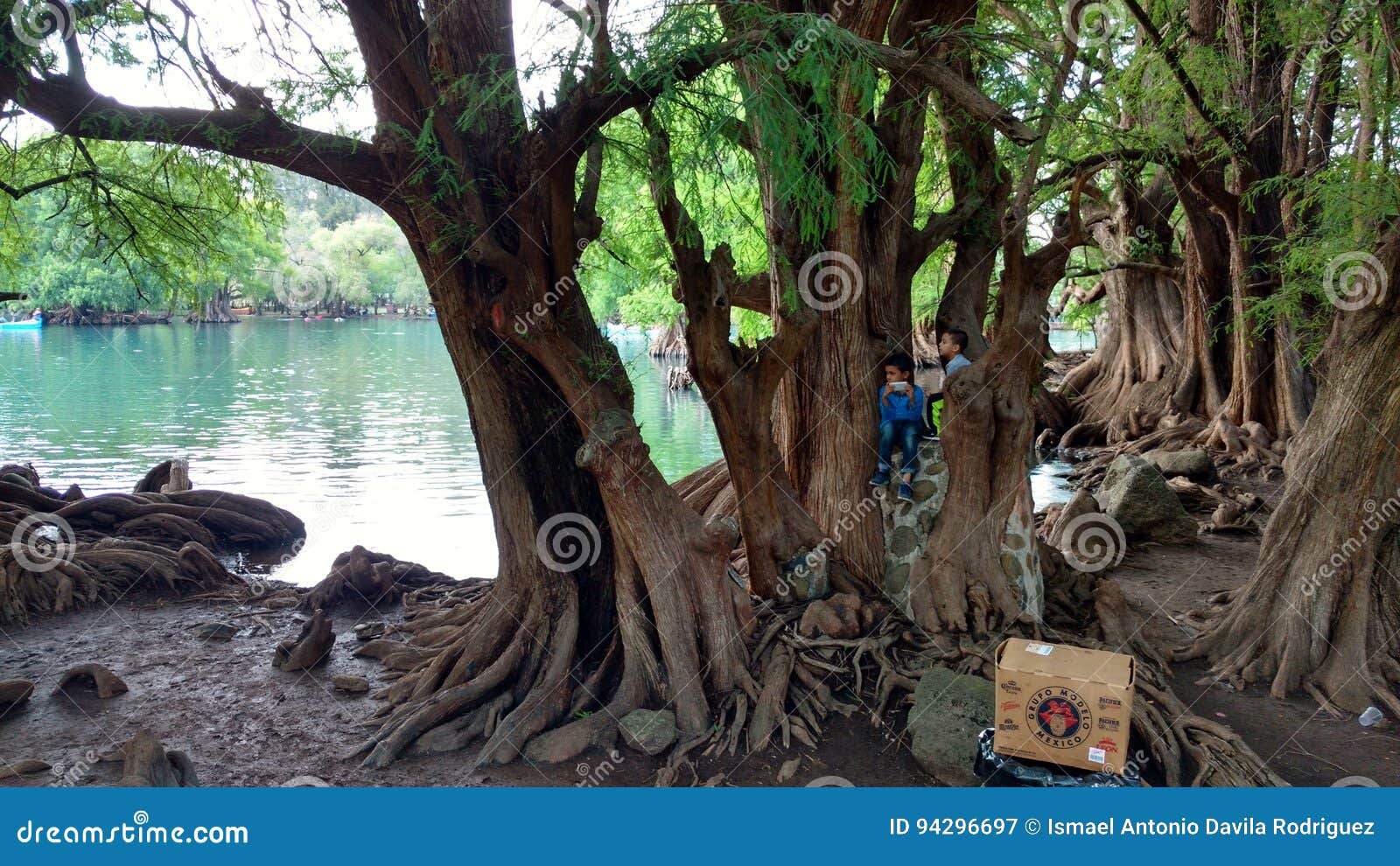 Camecuaro lake editorial photography. Image of branch - 94296697