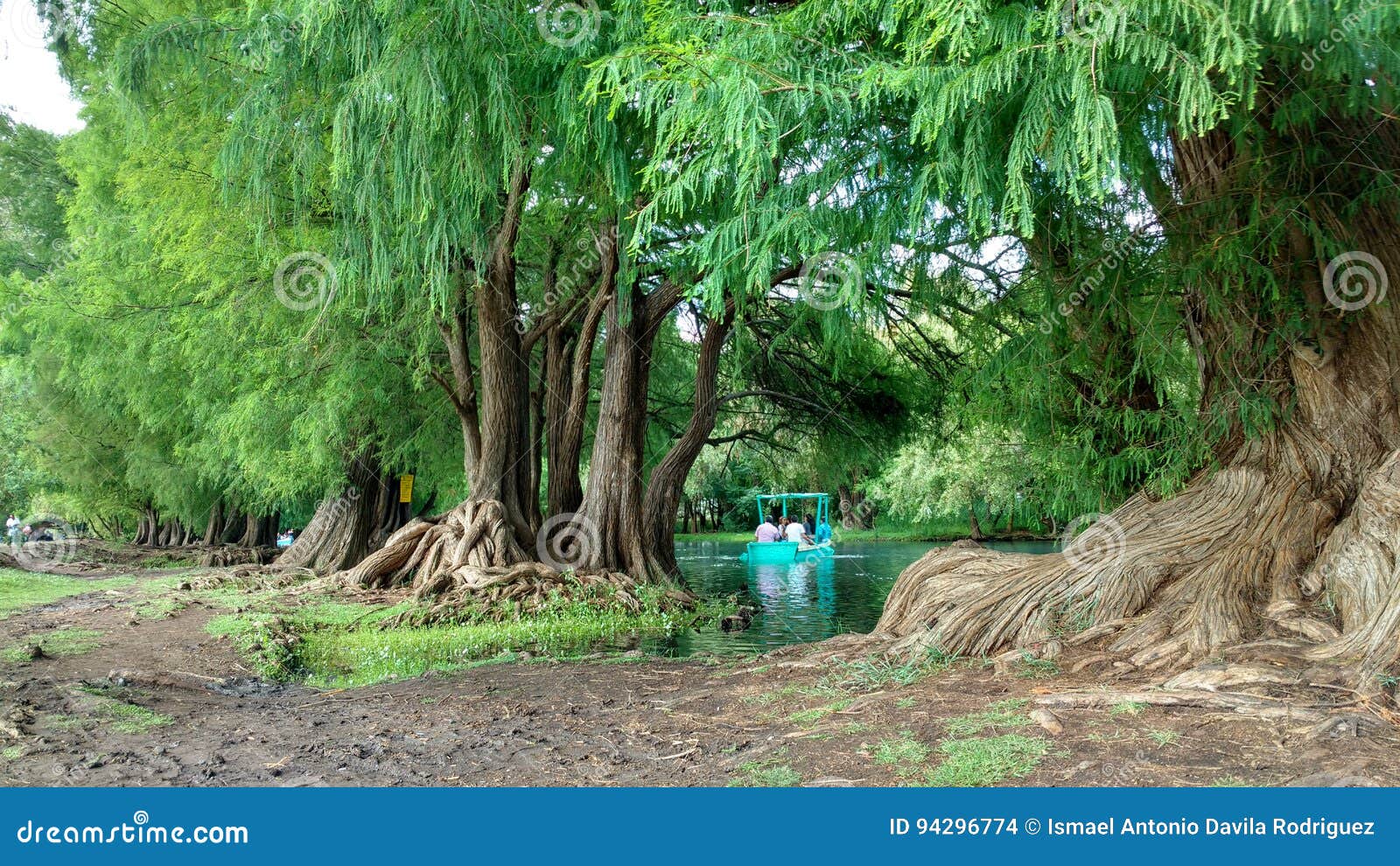 Camecuaro lake editorial stock image. Image of bank, plant - 94296774