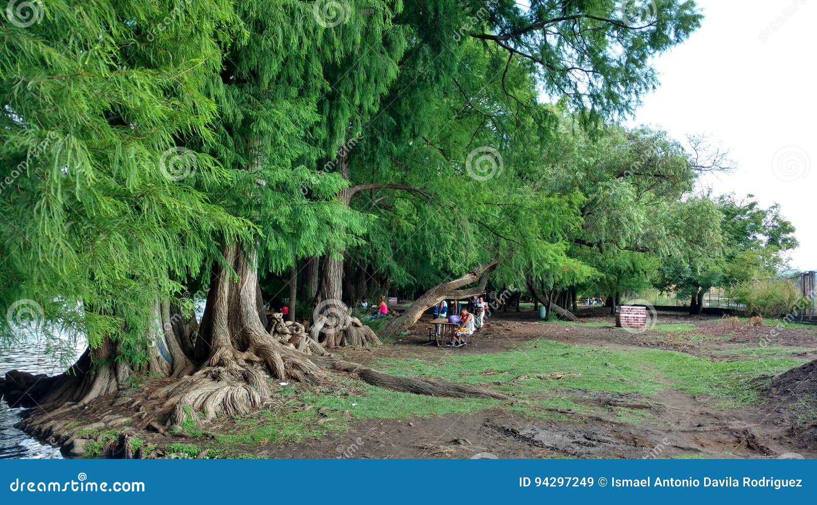 Camecuaro lake editorial stock image. Image of woodland - 94297249