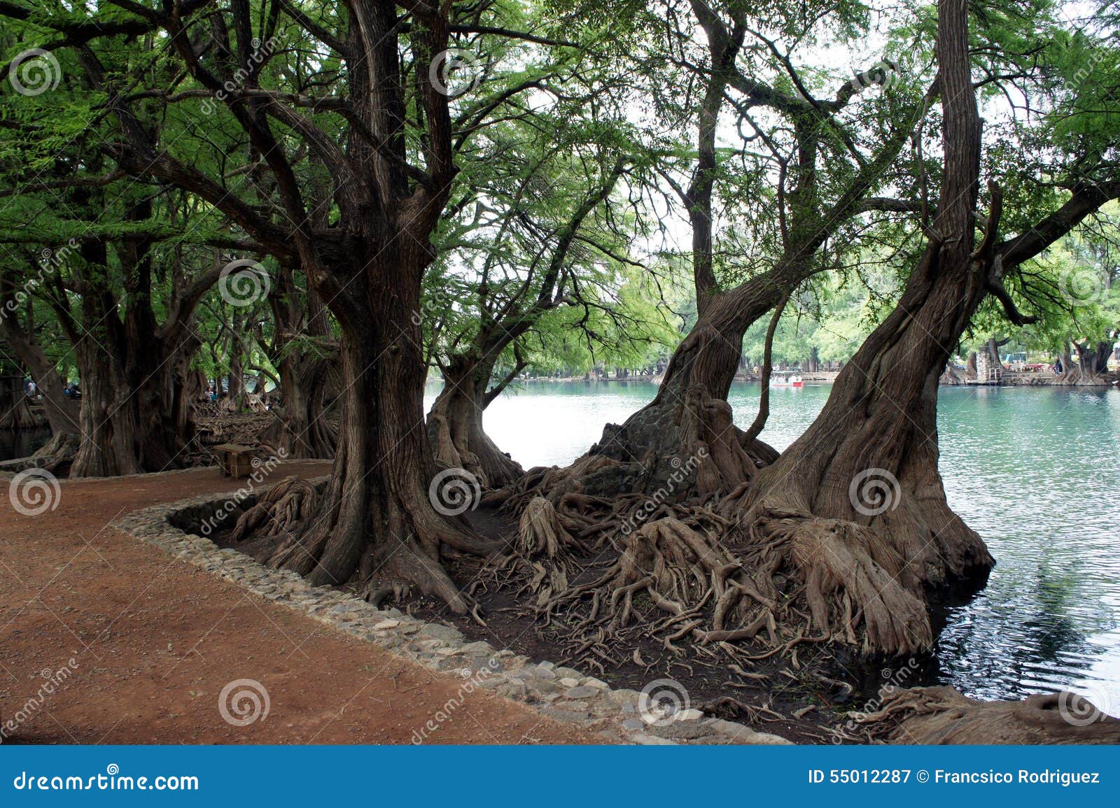 Camecuaro, Michoacan stock image. Image of mexico, water - 55012287